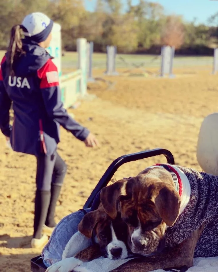 Morningside Eventing Team