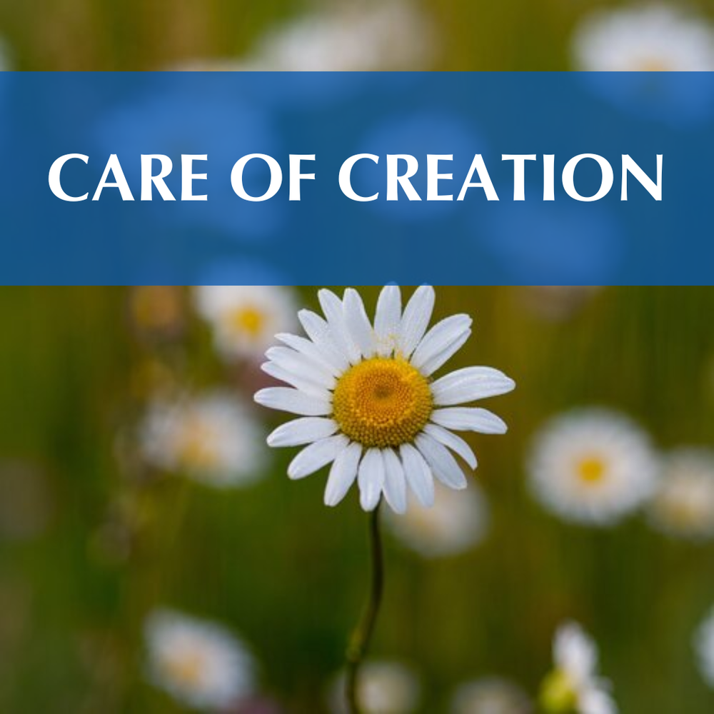 Care of Creation — Episcopal Diocese of Iowa