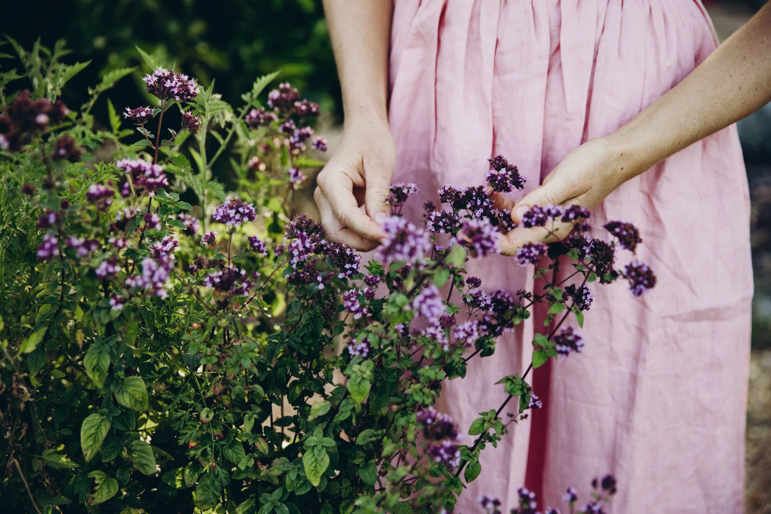 Marina Wright Wellness