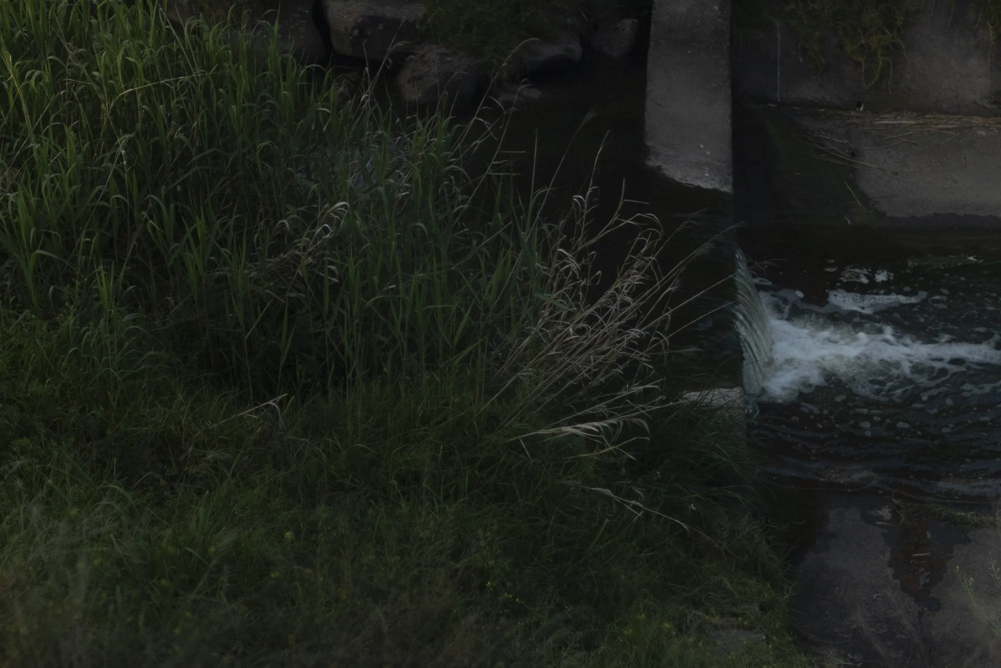 Take a walk along the Moonee Moonee with us — correspondences