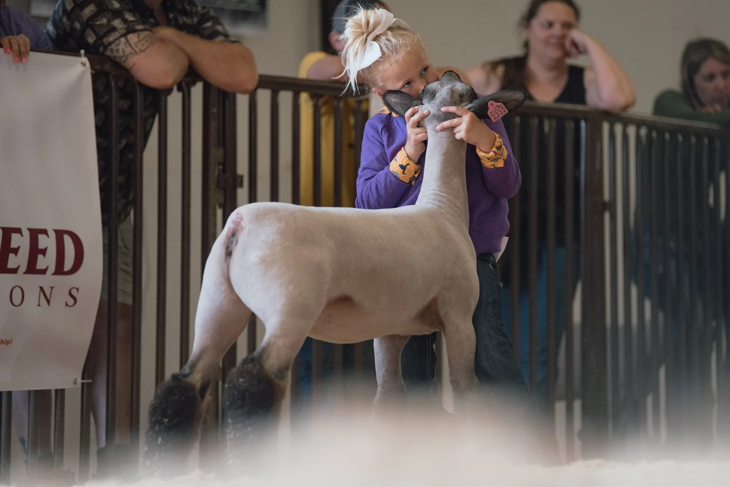2023 Sheep Winners — Kootenai Classic Livestock Show