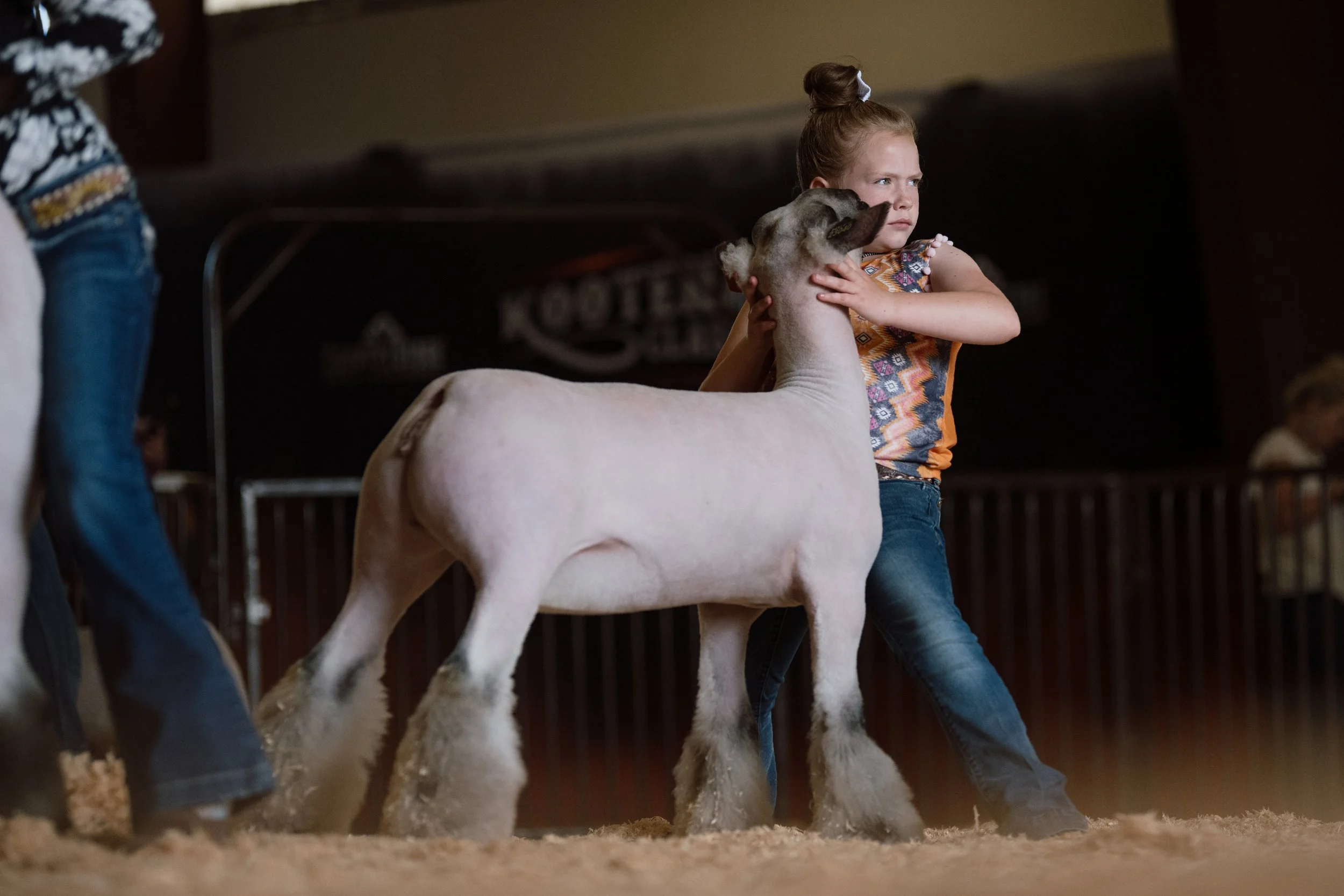 2023 Sheep Winners — Kootenai Classic Livestock Show
