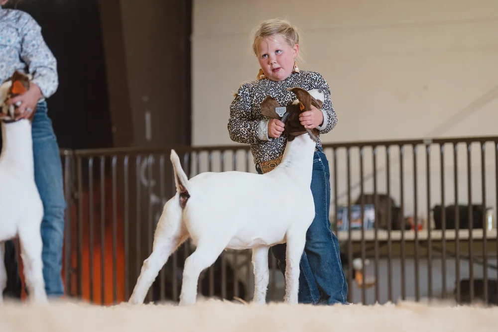 2023 Goat Winners — Kootenai Classic Livestock Show