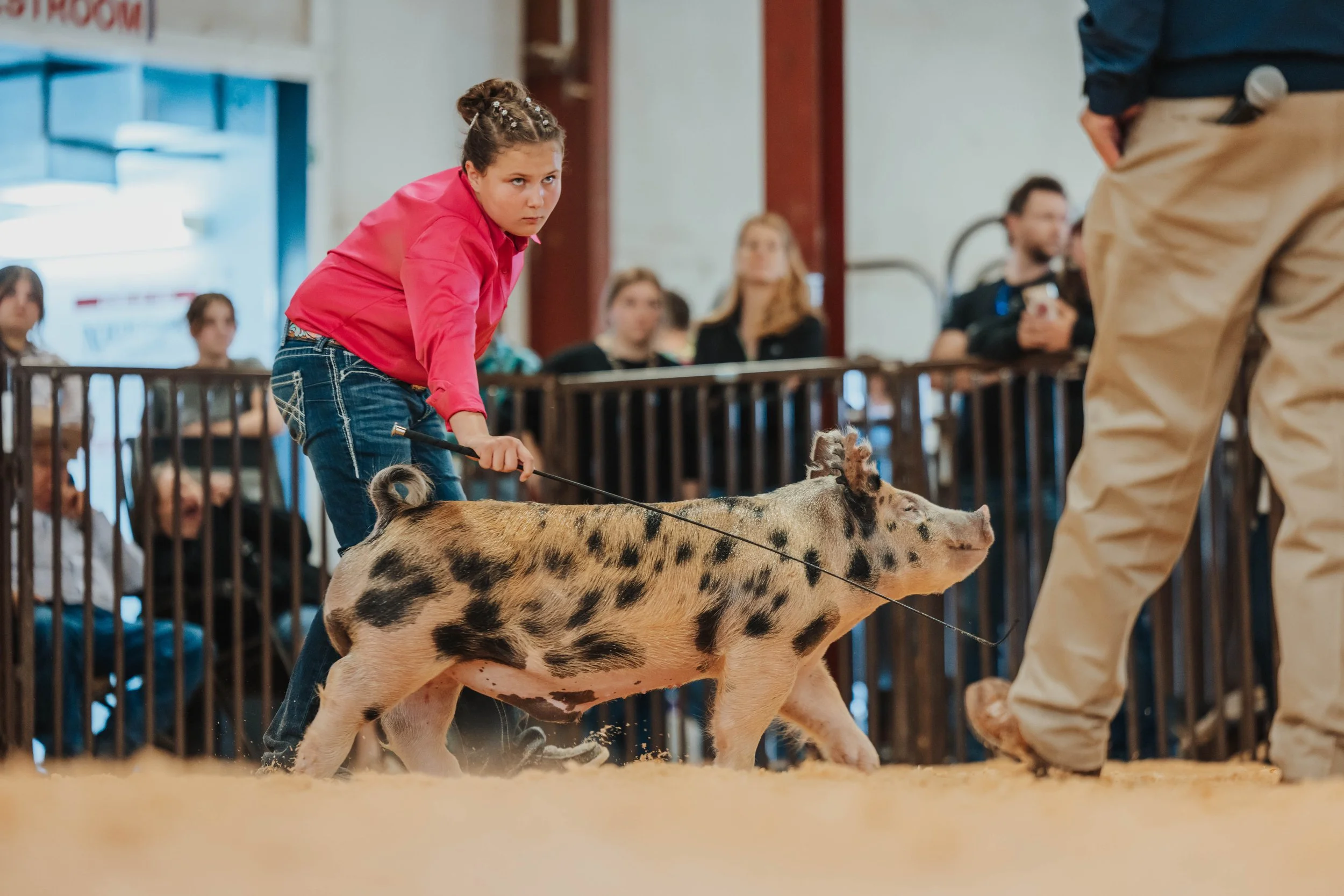 2022 Hog Winners — Kootenai Classic Livestock Show