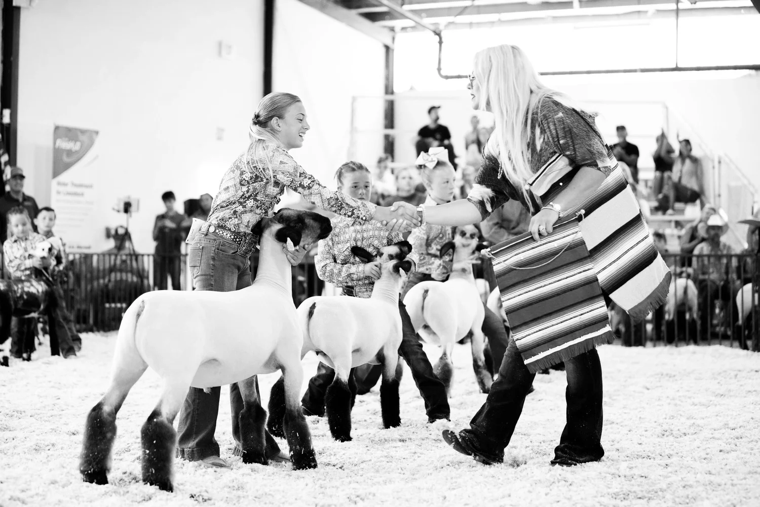 Kootenai Classic Livestock Show