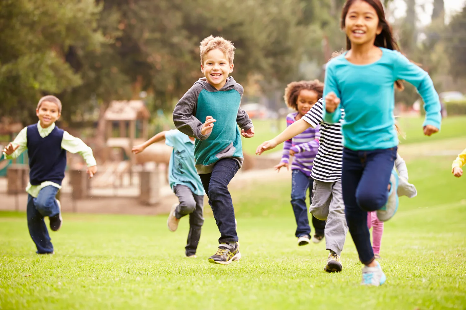 The Bone Health Essentials — The Bone Health Foundation