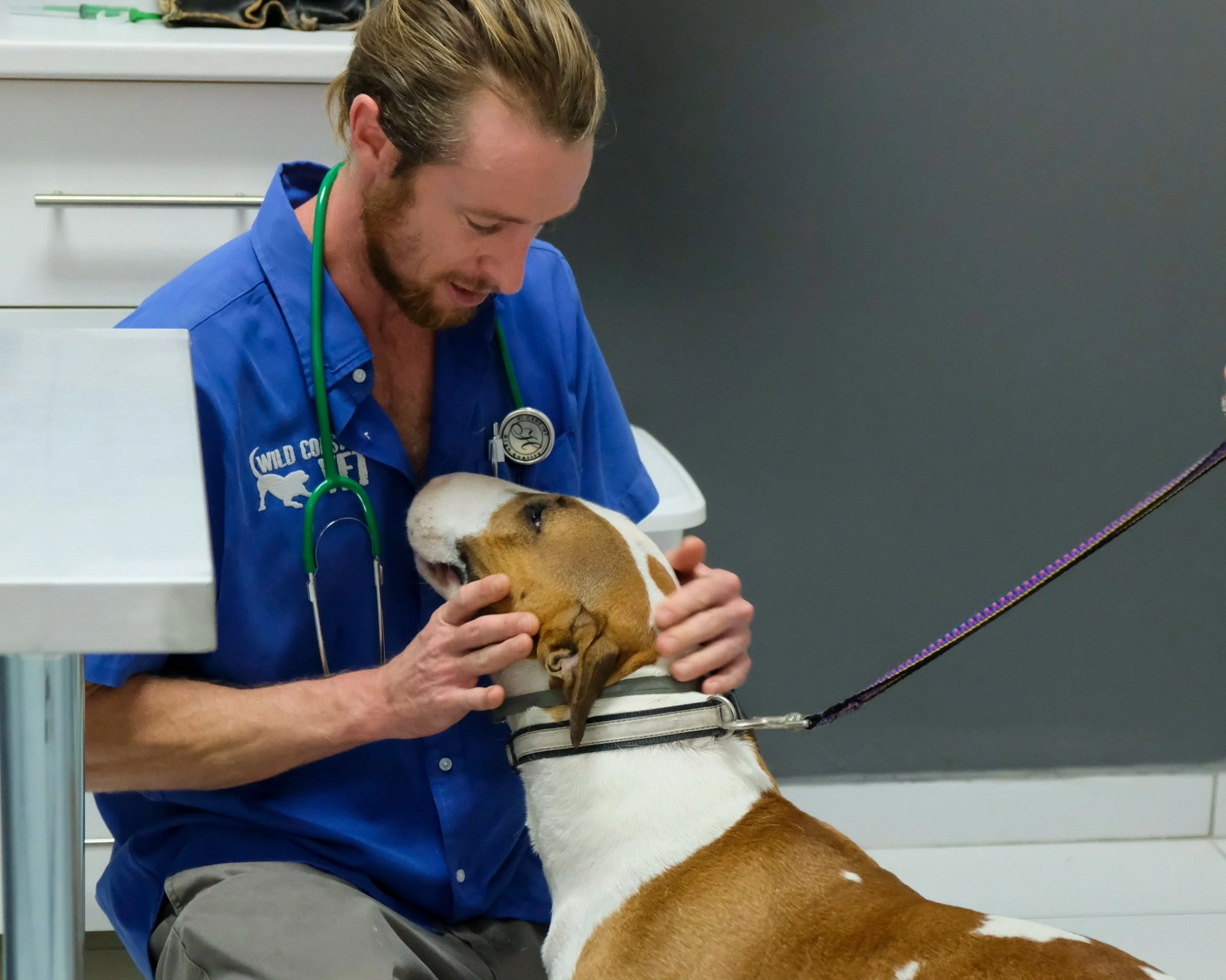 Wild Coast Vet wild coast vet