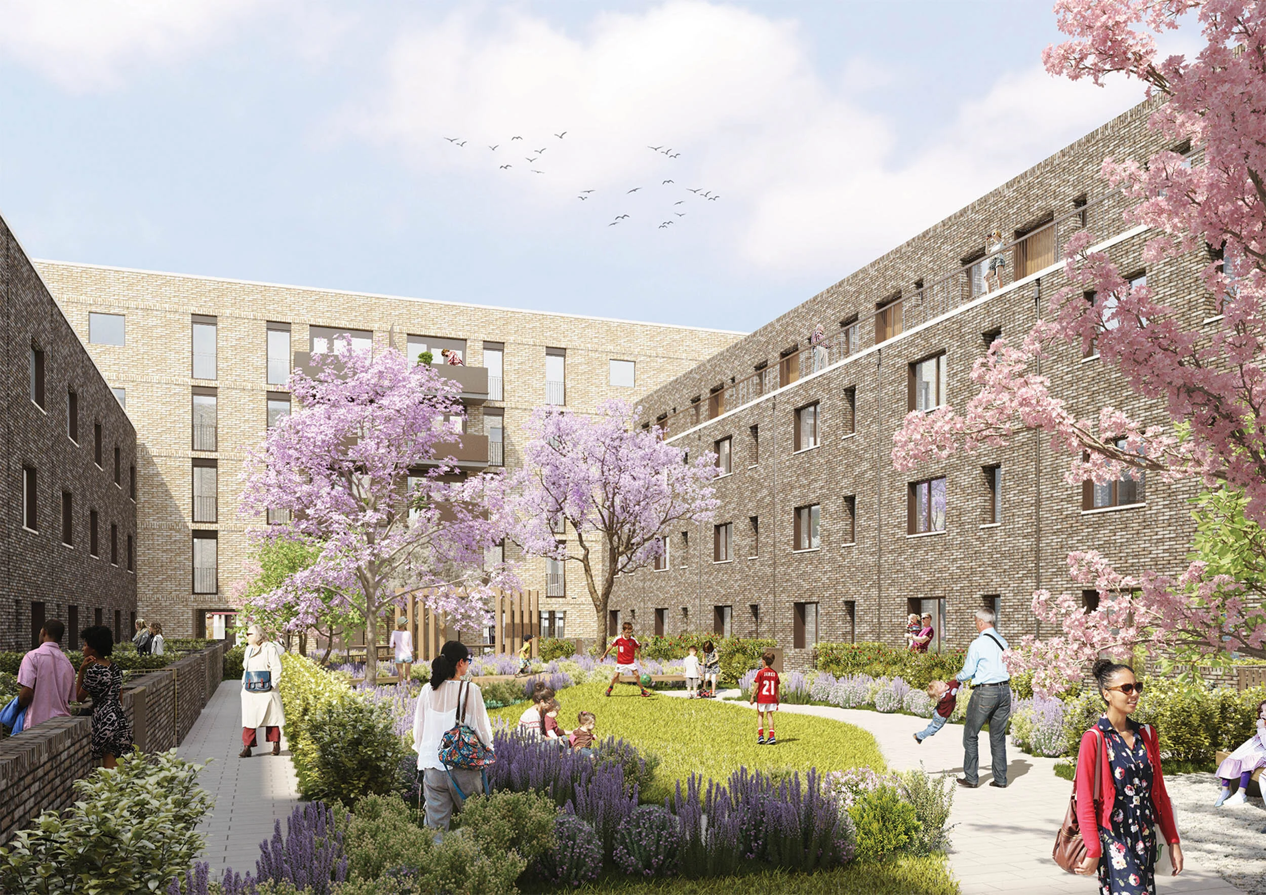 Alma Estate Regeneration — Exterior Architecture