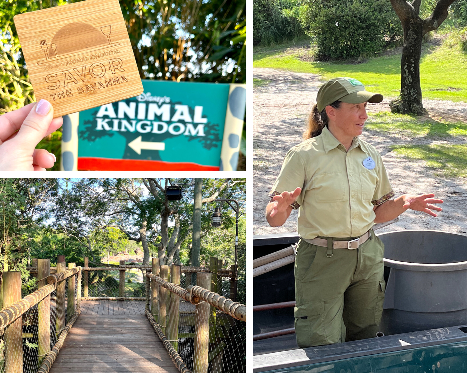 Savor the Savanna: Review and Tips for The Disney World Enchanting ...