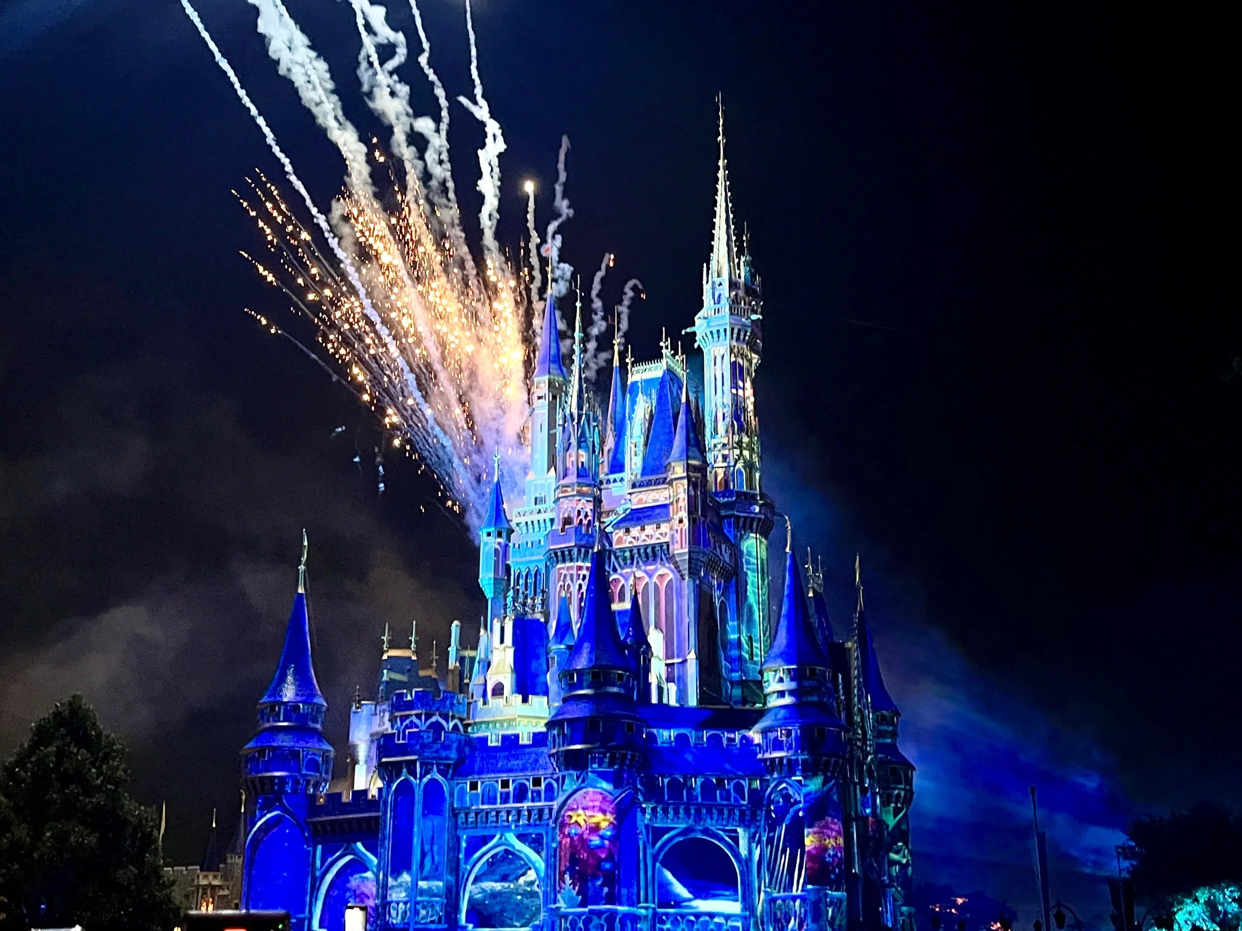 Disney Private VIP Tours — Castles & Carpools