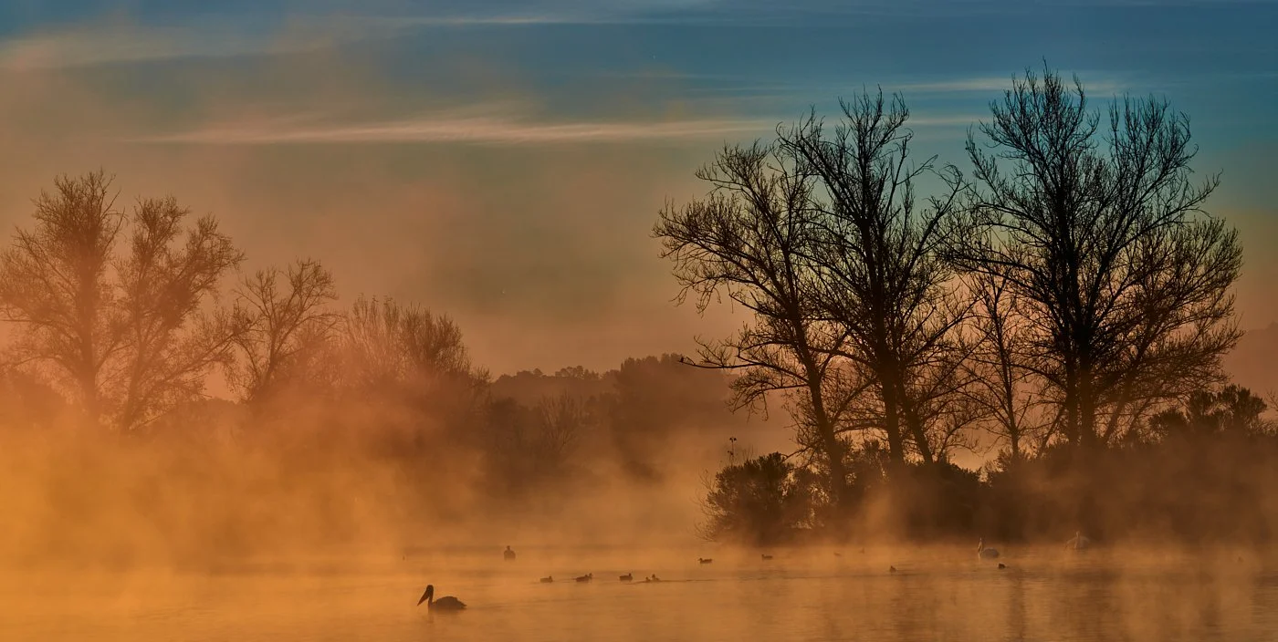 About Sepulveda Basin NWR — Carl Volpe Photography