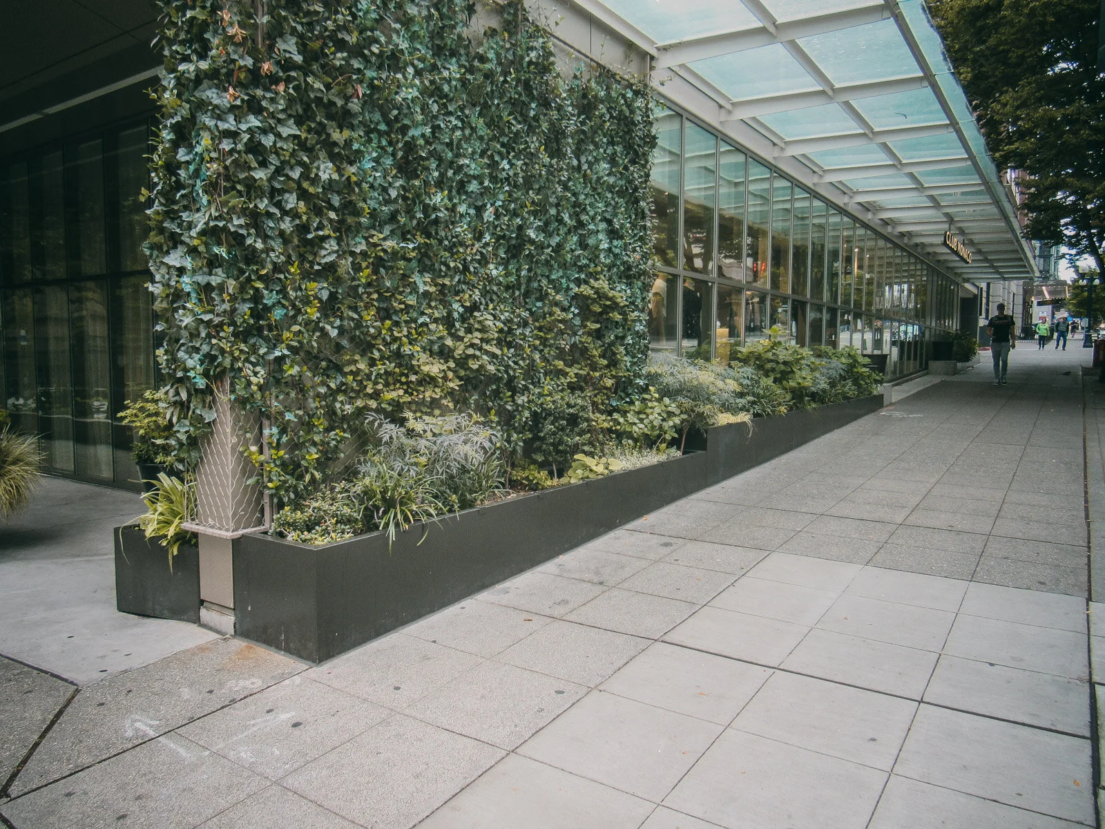 Commercial Landscape Planters — Architerra