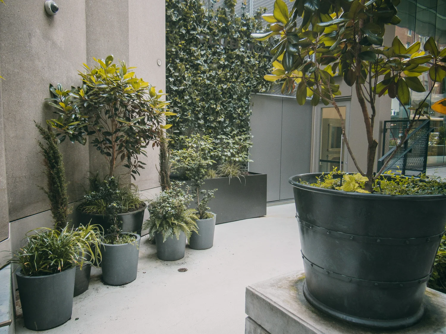 Commercial Landscape Planters — Architerra
