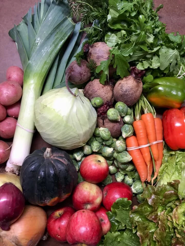 Veggie CSA Shares — Hermit Creek Farm