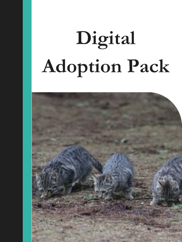 Digital Adoption Pack — Wildcat Haven