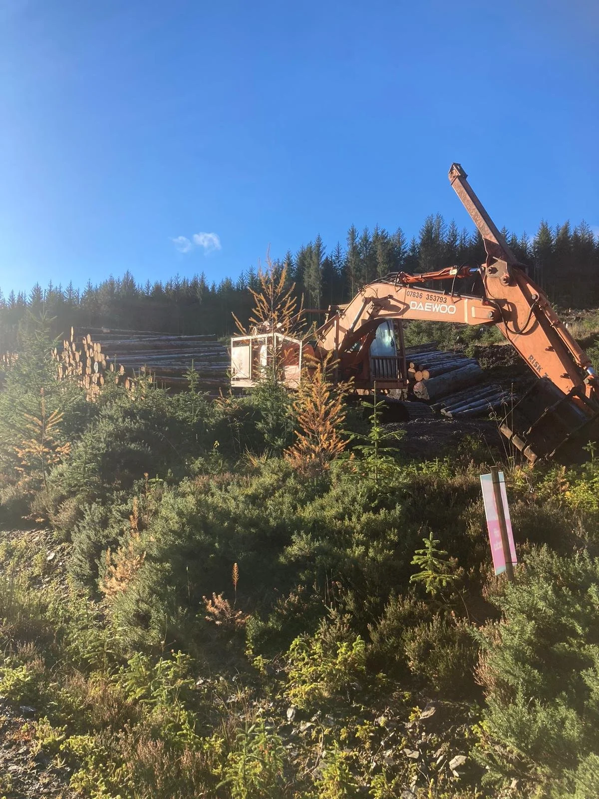 CLASHINDARROCH WINDFARM UPDATE- A MUST READ — Wildcat Haven