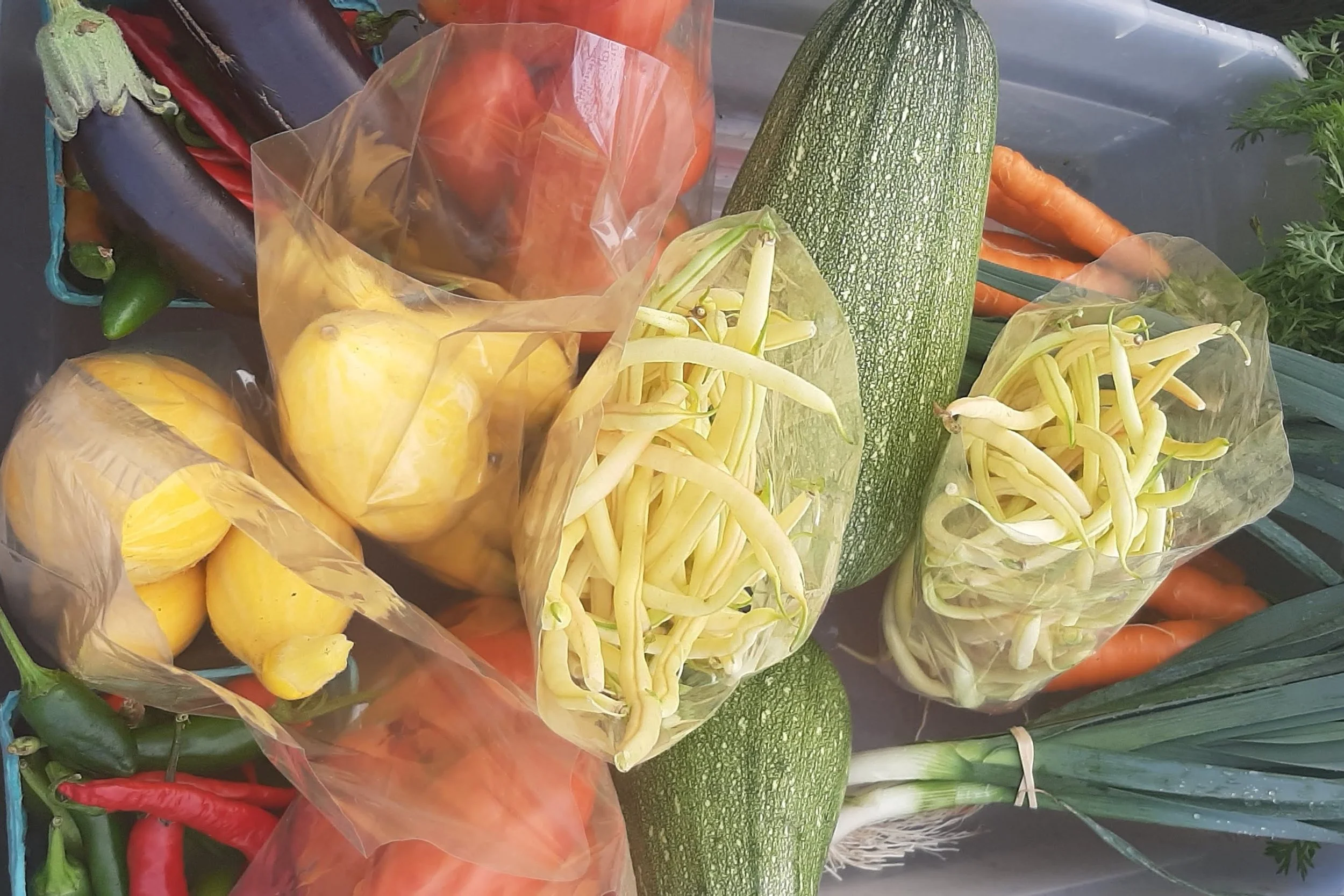 Order your CSA and enjoy cooking farm fresh foods at their peak harvest ...