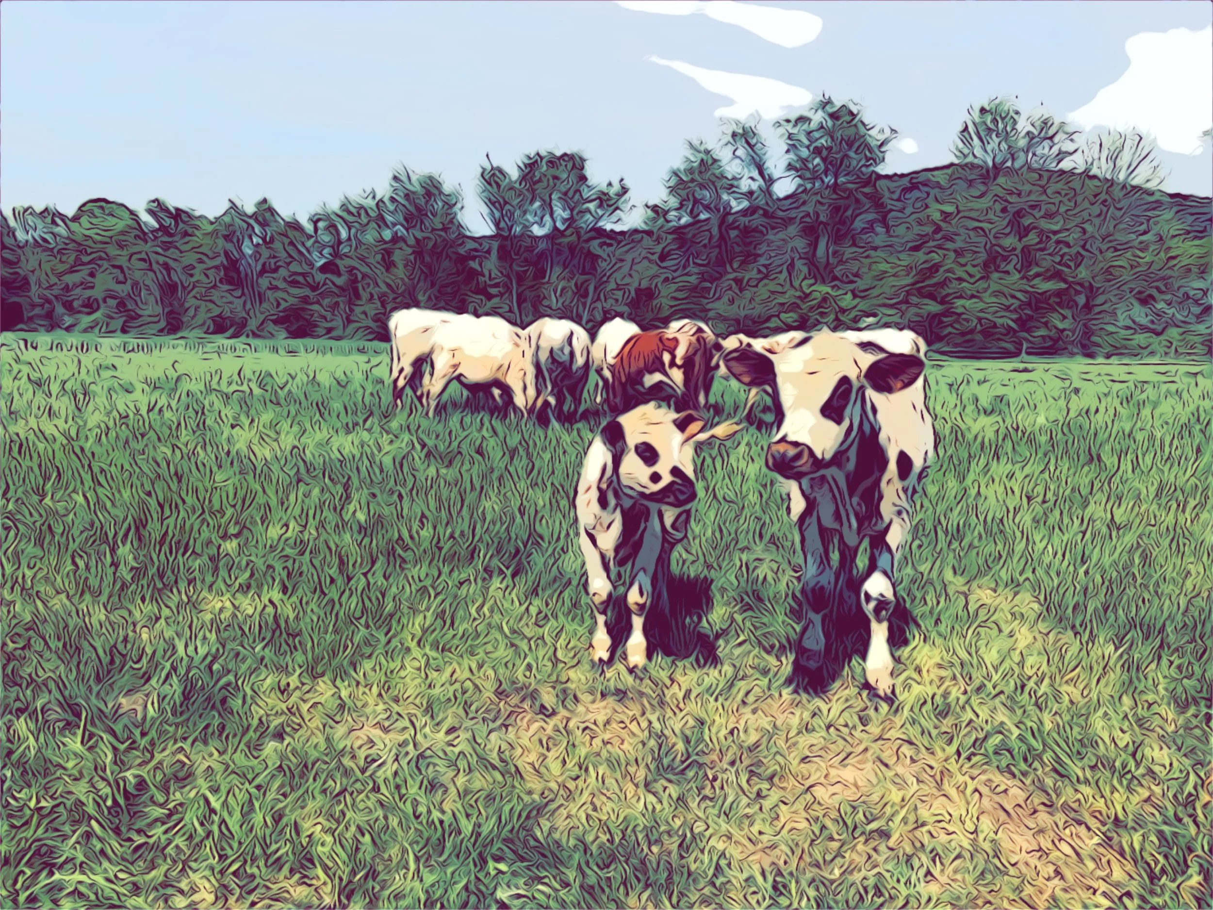 Mock Interview Reveals Farm Lifestyle, Shepherding, and Best Advice ...