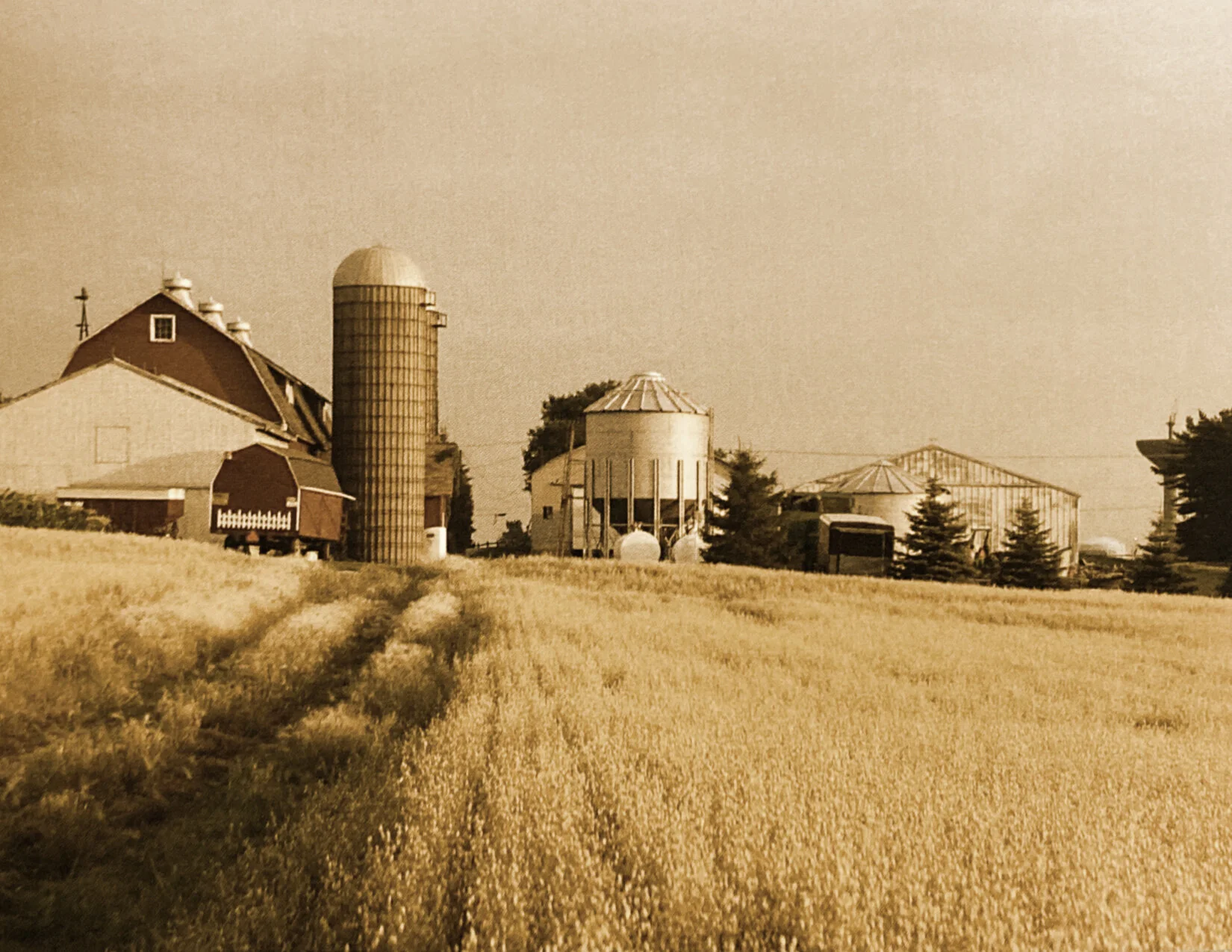 Who We Are — Lake County Fairgrounds & Event Center