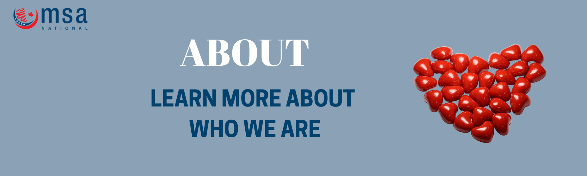 Mission and Vision — MSA National