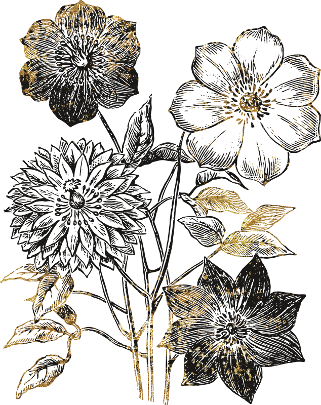 Spellbox Melbourne | Witch shop, readings and events