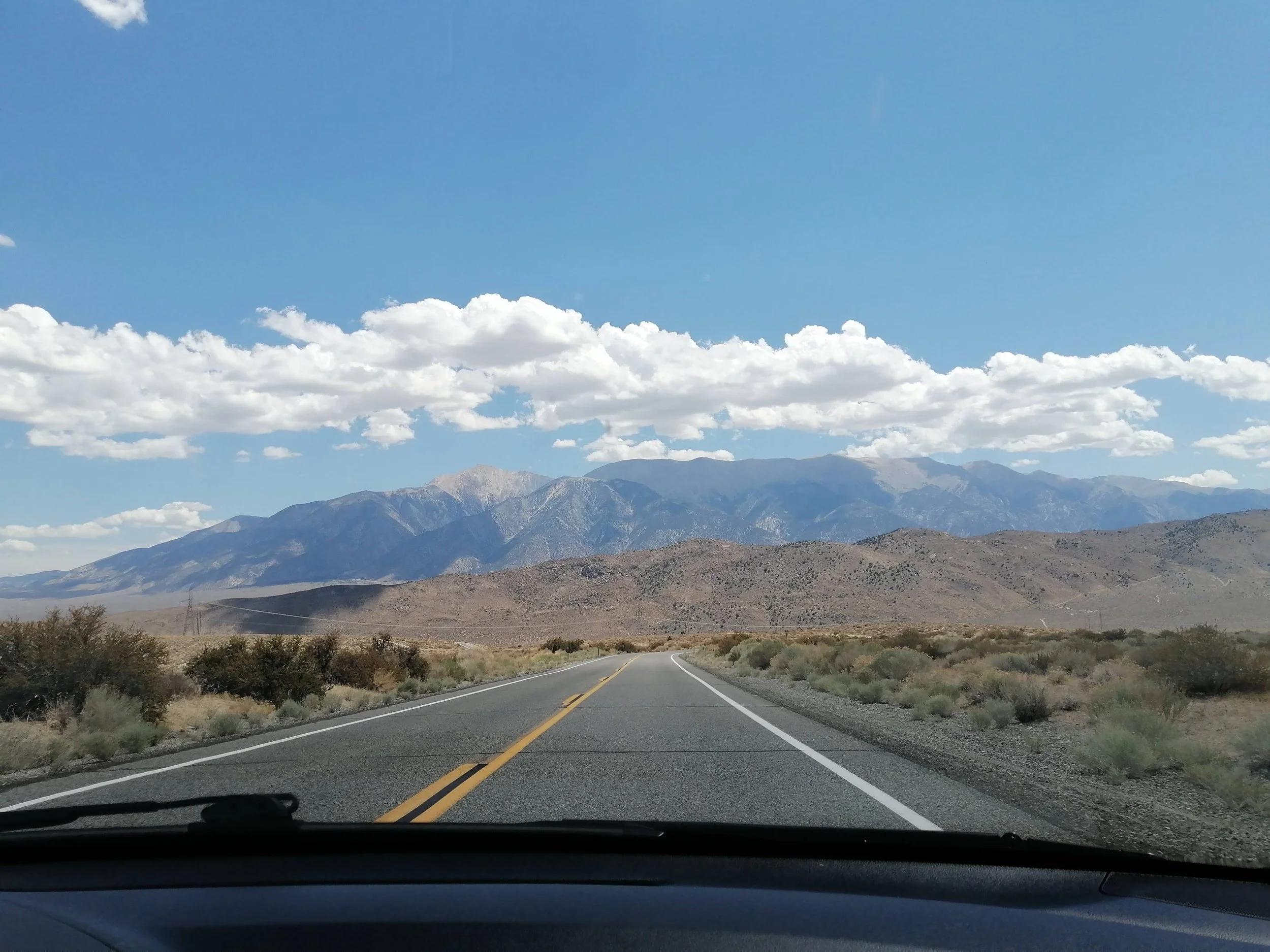 Mammoth Running Camp