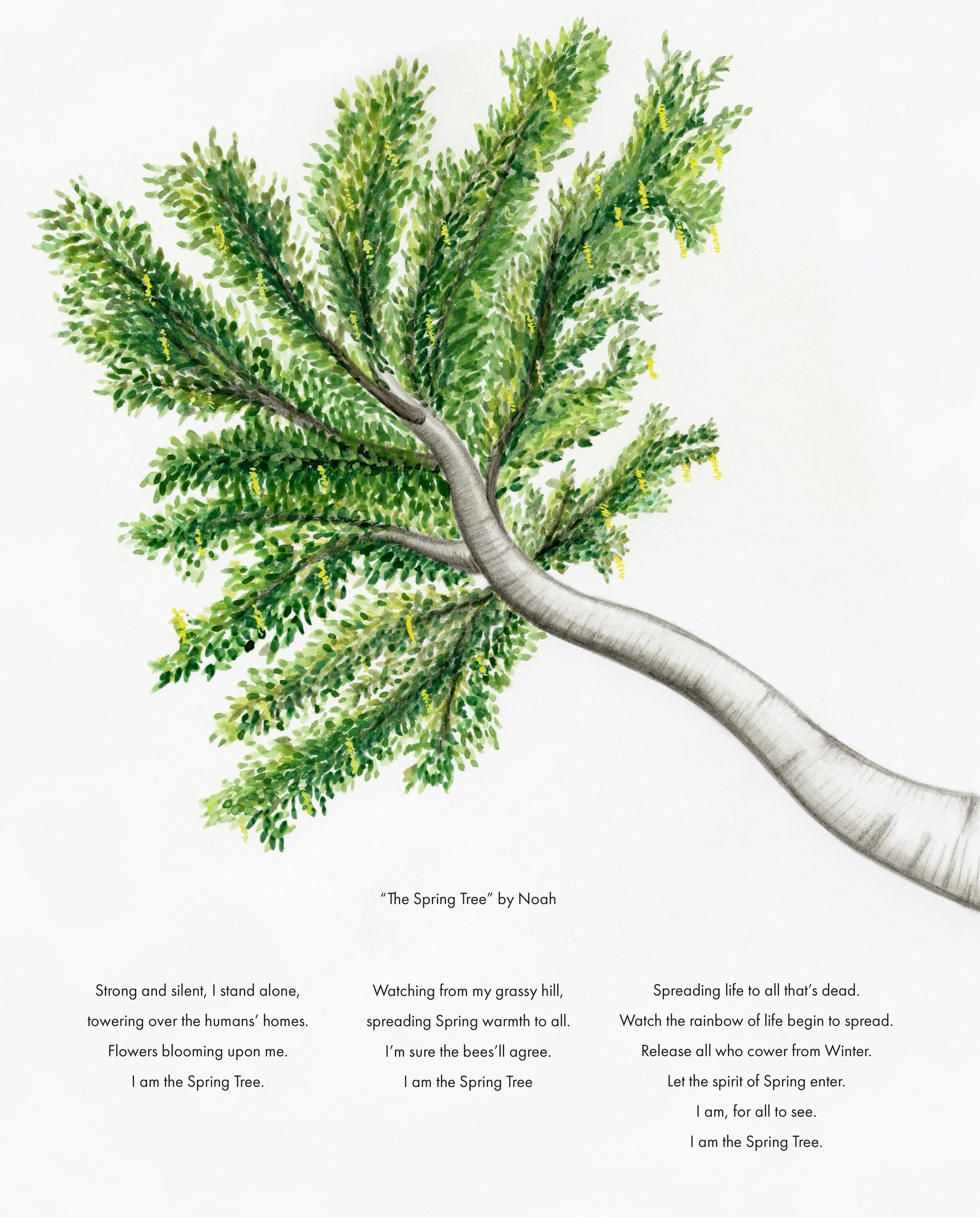Spring Illustrated Poems — Kids' Poetry Club