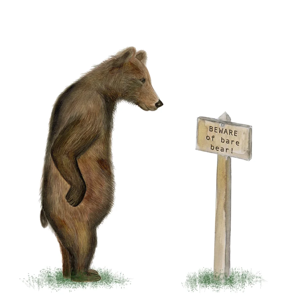 Poems about Animals — Kids' Poetry Club