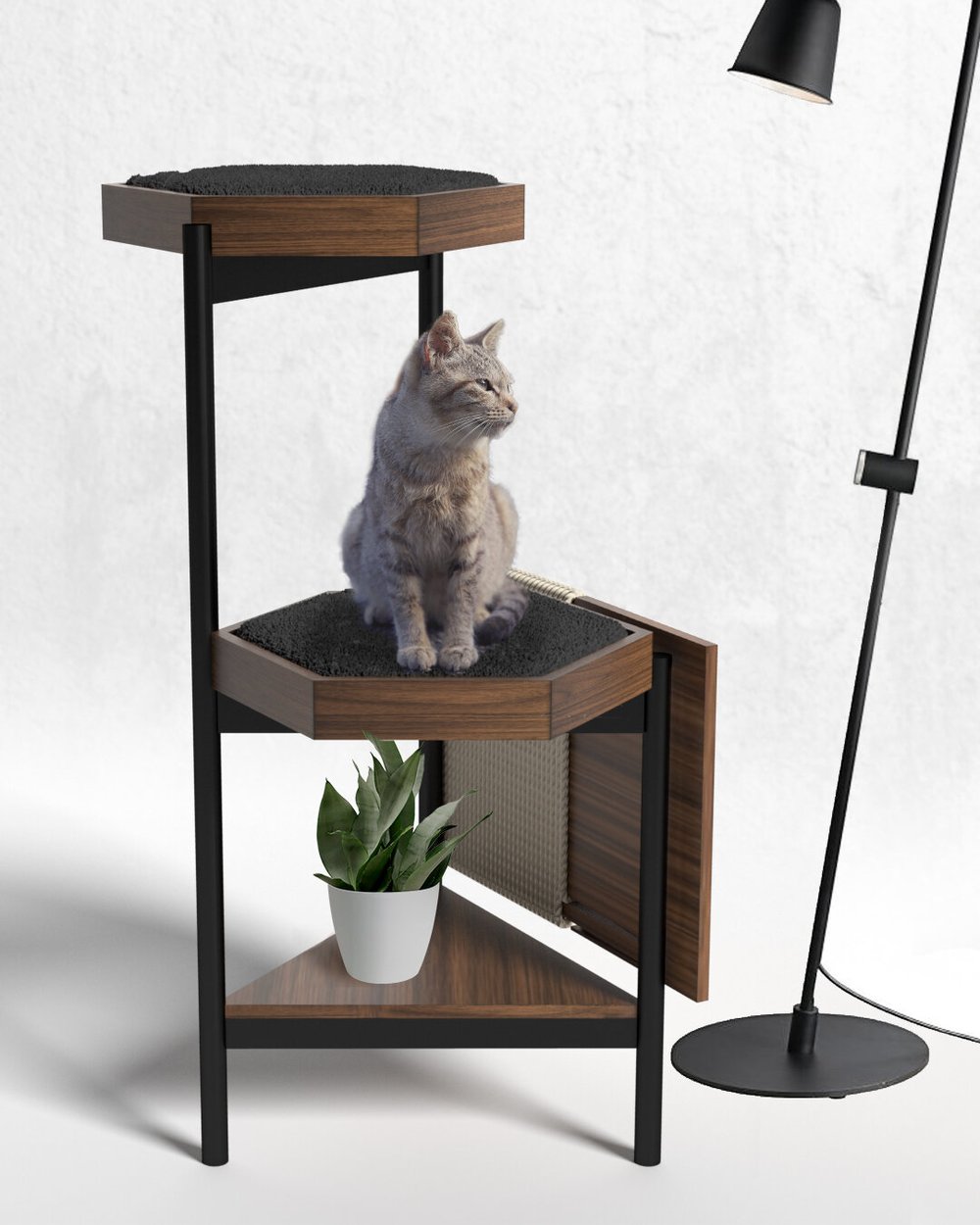 Catálogo — Zulo MX