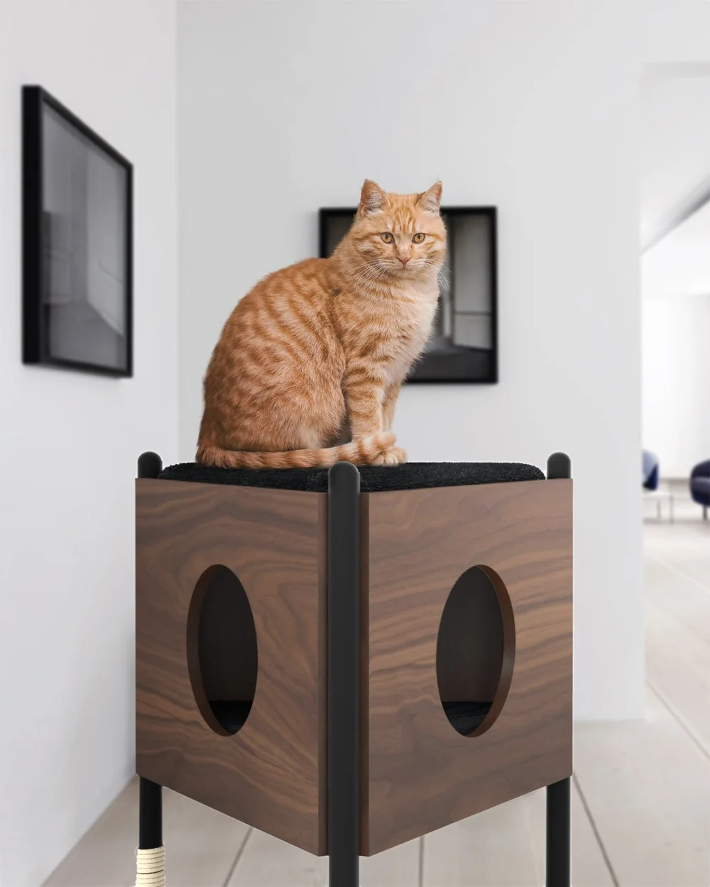 MiniCredenza — Zulo MX