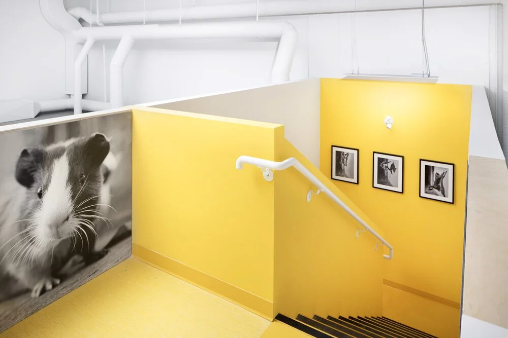 Team 1 — studioHuB architects