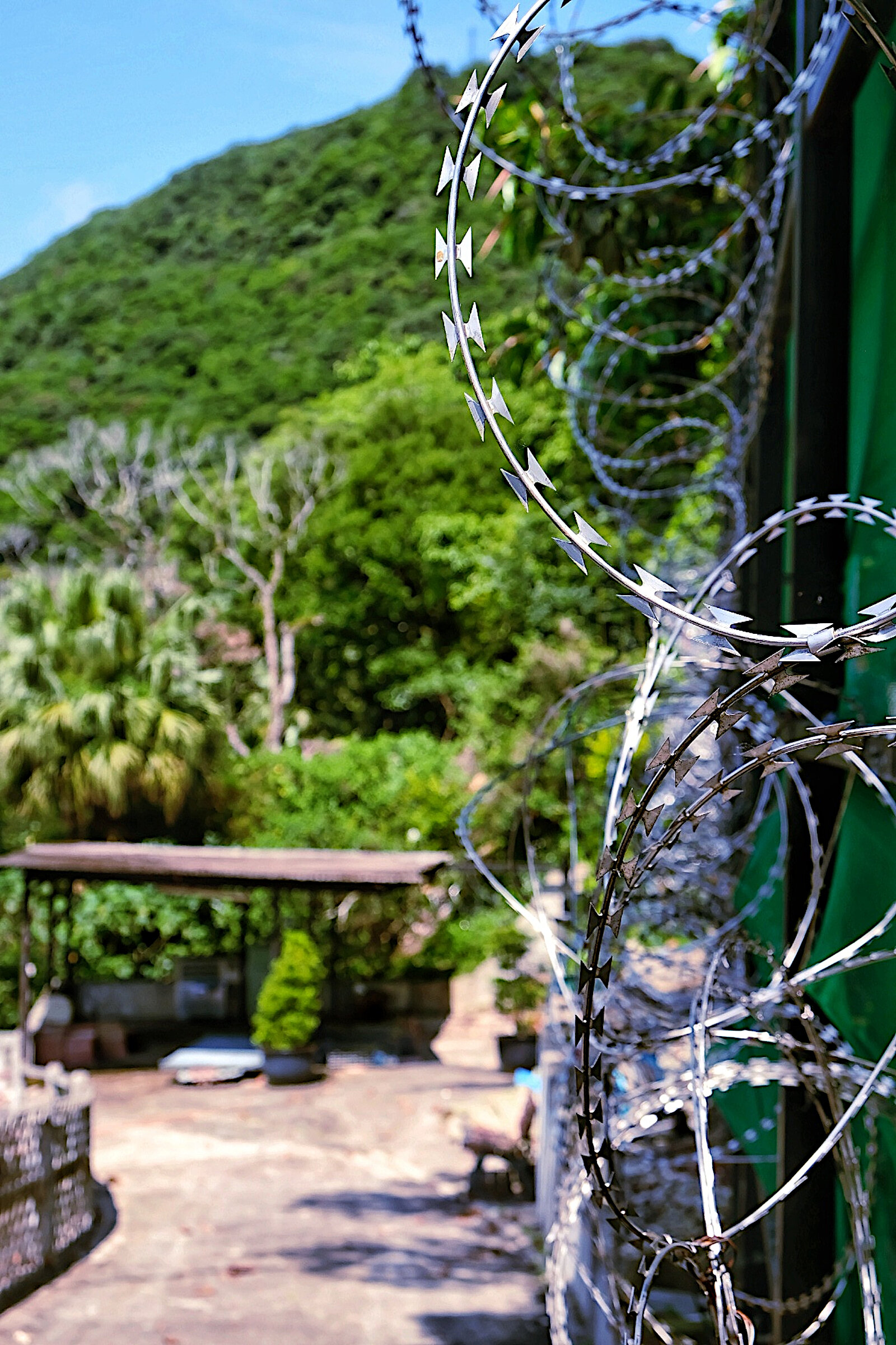 Dragon Lodge Peak’s Mystery Mansion — CULTURE