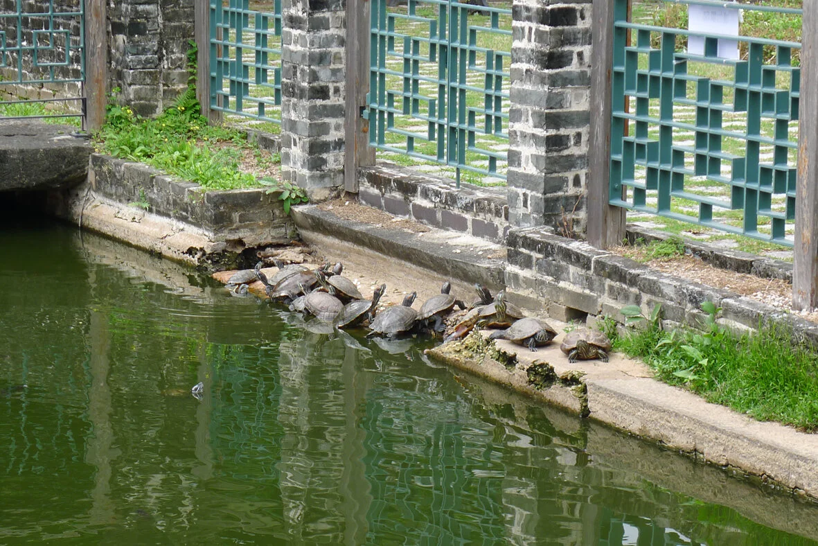 Tai Fu Tai Mansion — CULTURE Magazine - Art, travel, lifestyle, food ...