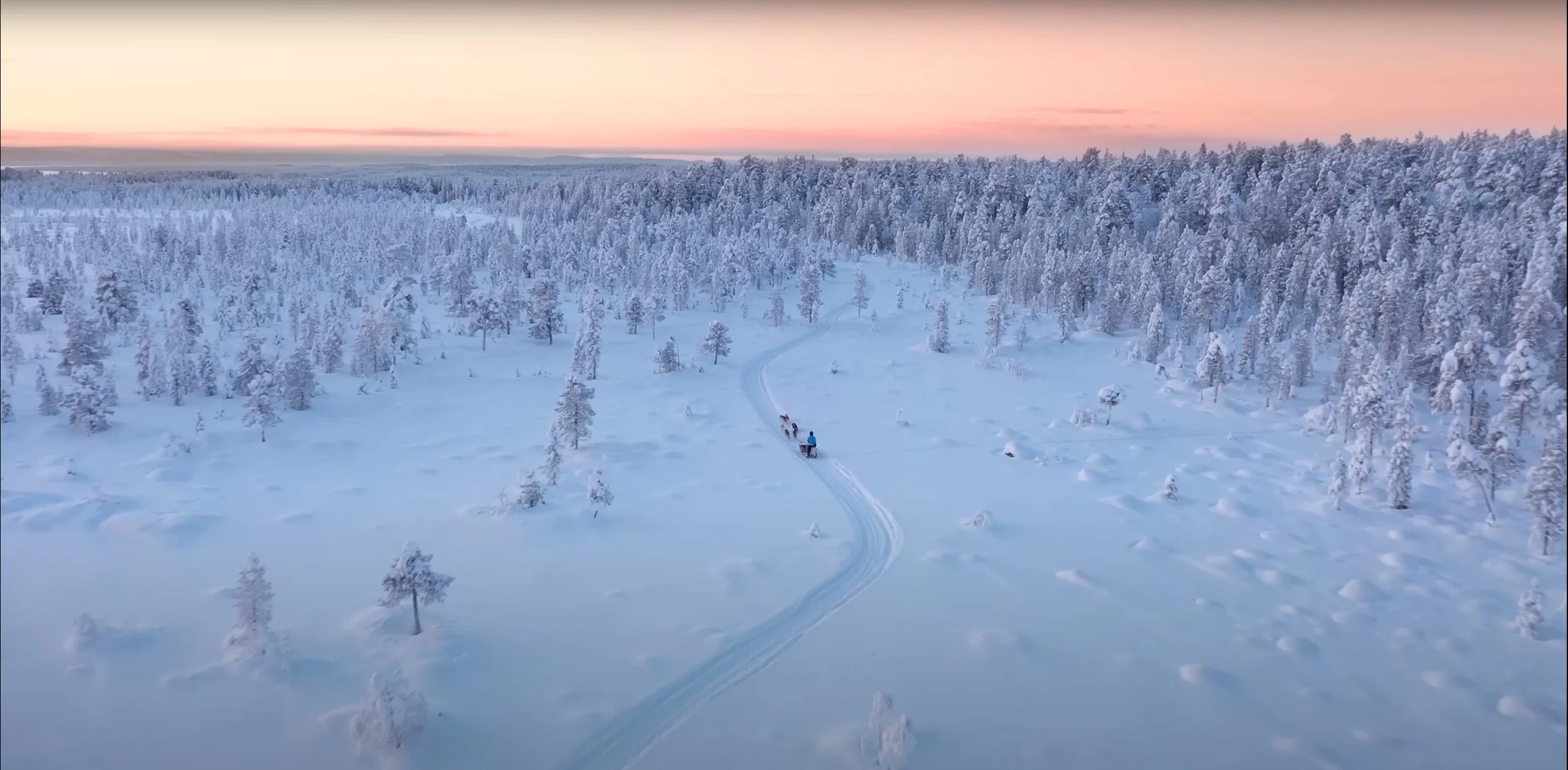 Hundekjøring og villmarksliv — Pasvik Folkehøgskole