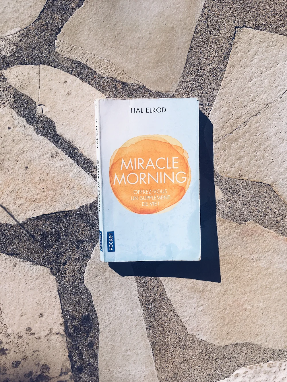 Review livre #1: Miracle Morning — Sask and the Cities