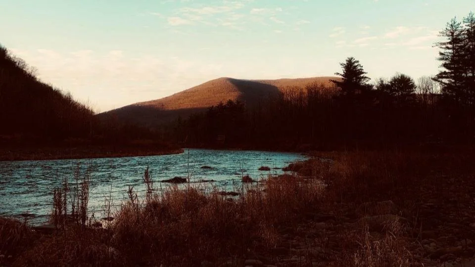 Fly Fishing Presentations — Esopus Creel