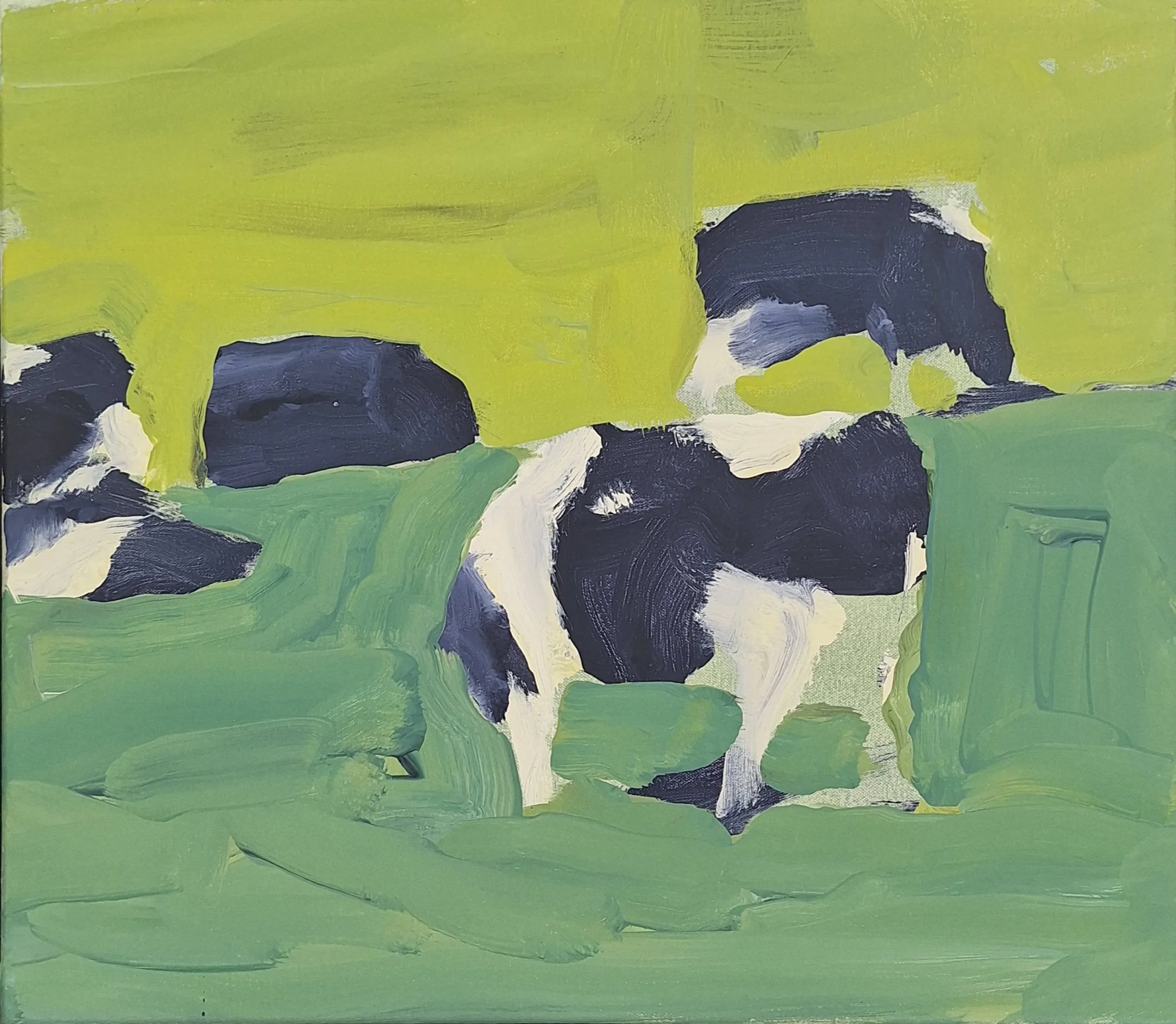 Nick Bodimeade Gallery — Natasha O'Kane