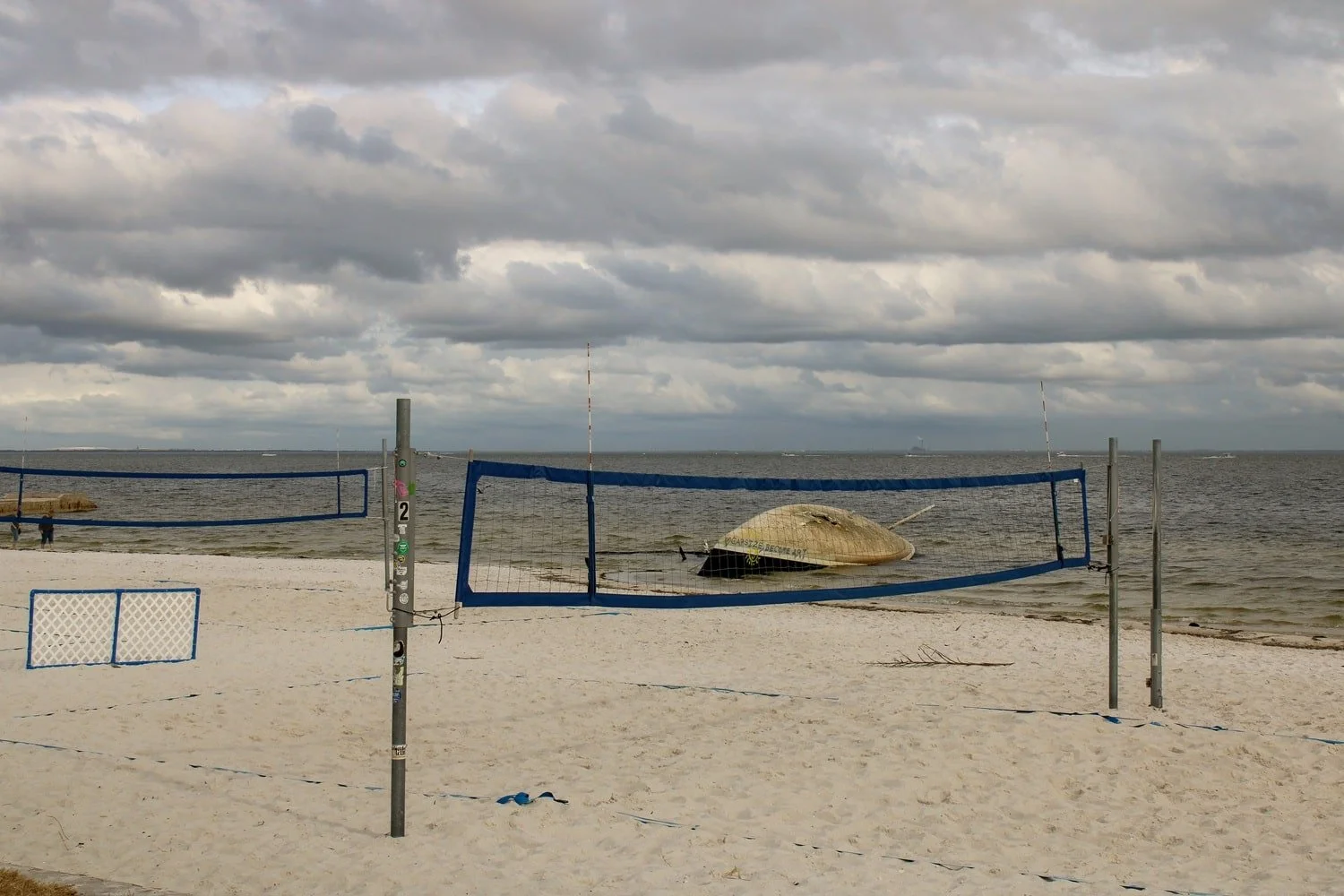 5 things that bring me joy this week — Blooming Magnolias Blog