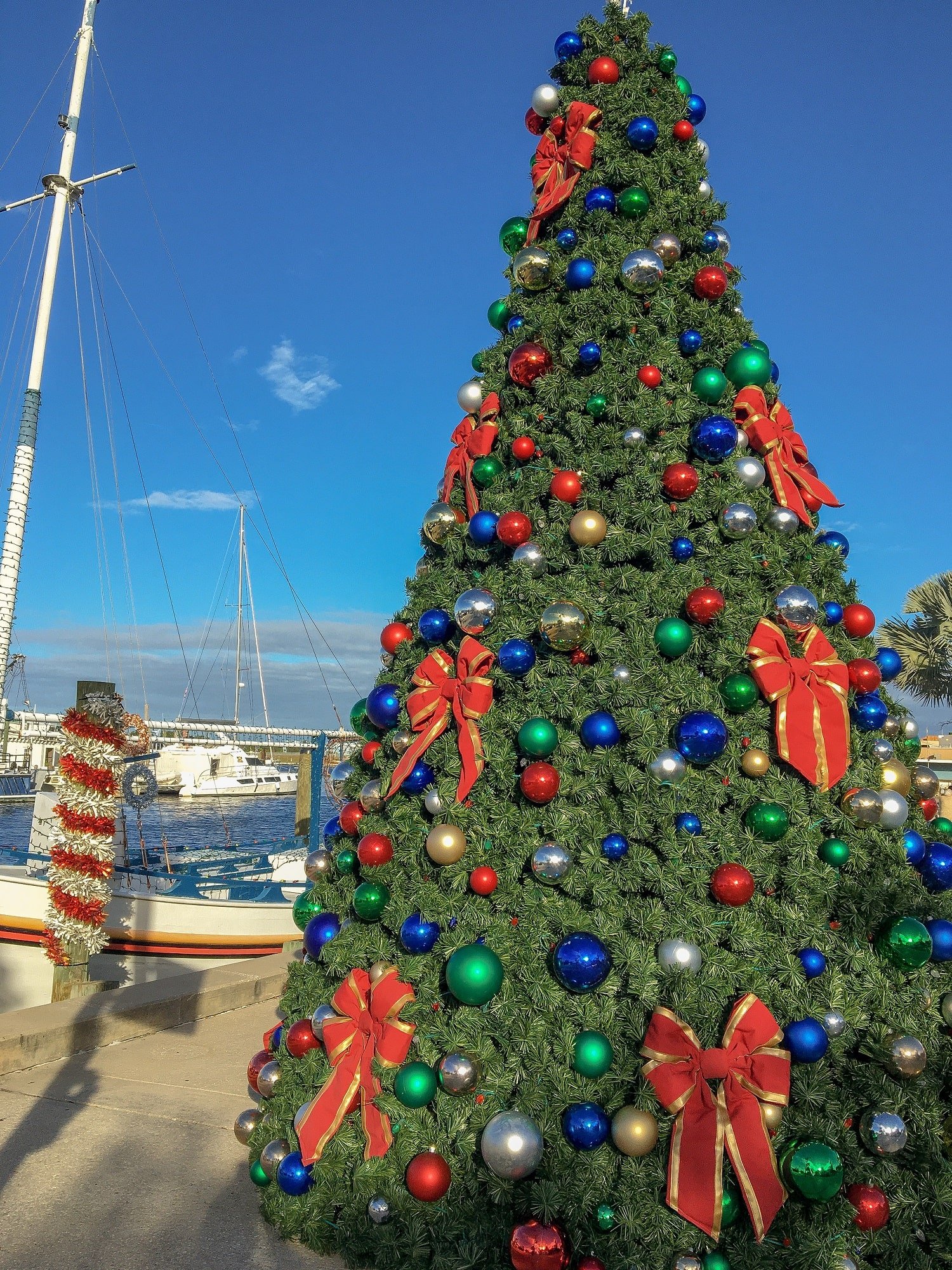 Christmas in Florida — Blooming Magnolias Blog