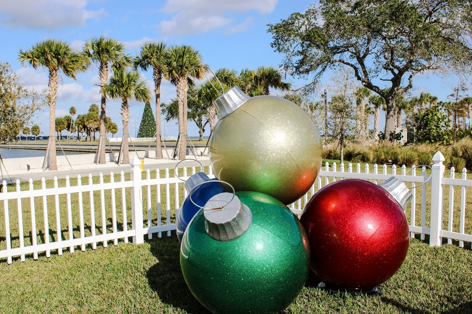 Christmas in Florida — Blooming Magnolias Blog