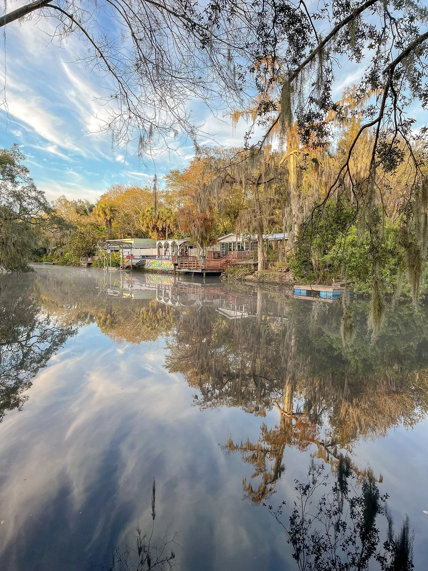 5 things that bring me joy this week — Blooming Magnolias Blog