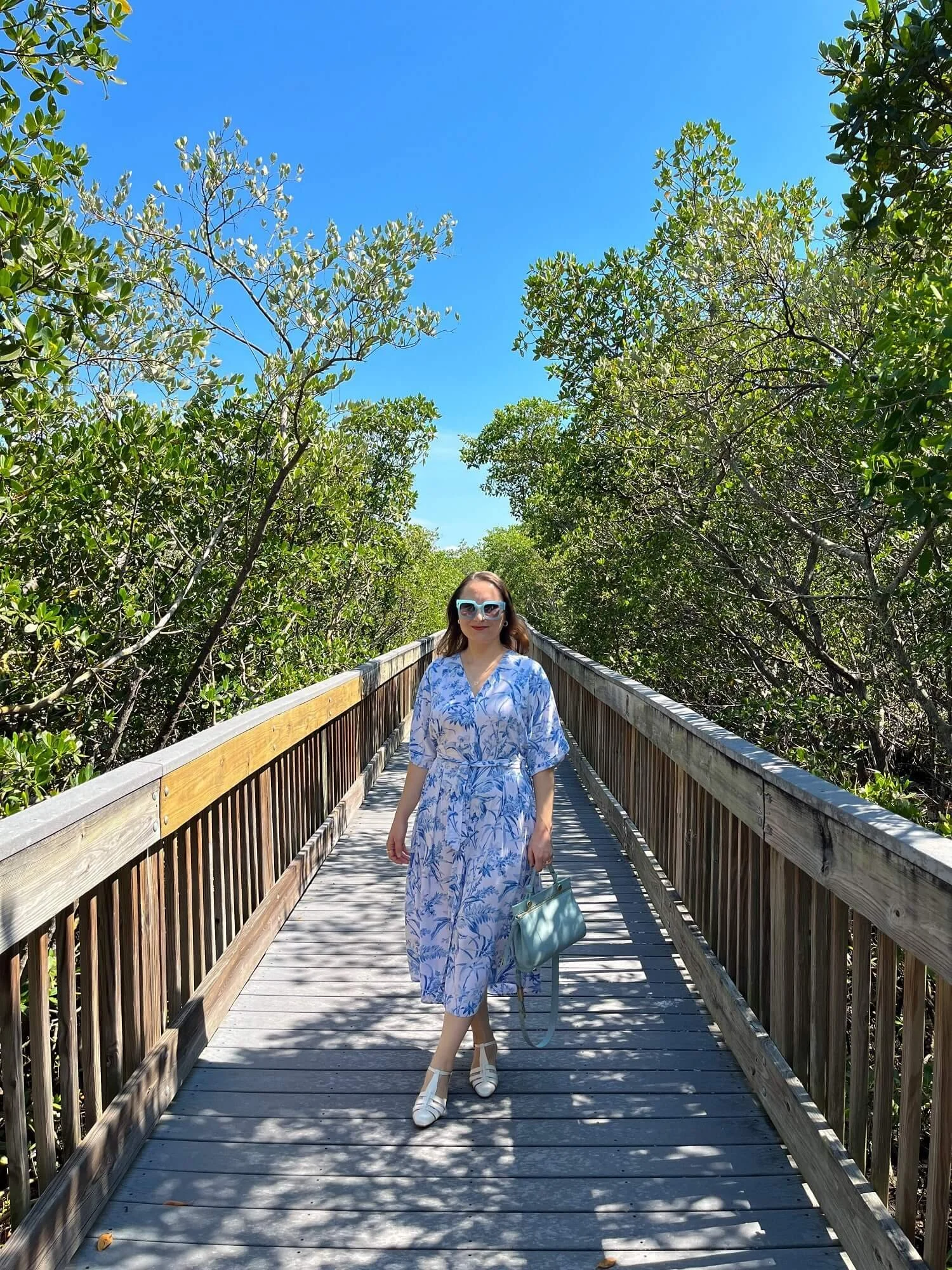 5 things that bring me joy this week — Blooming Magnolias Blog