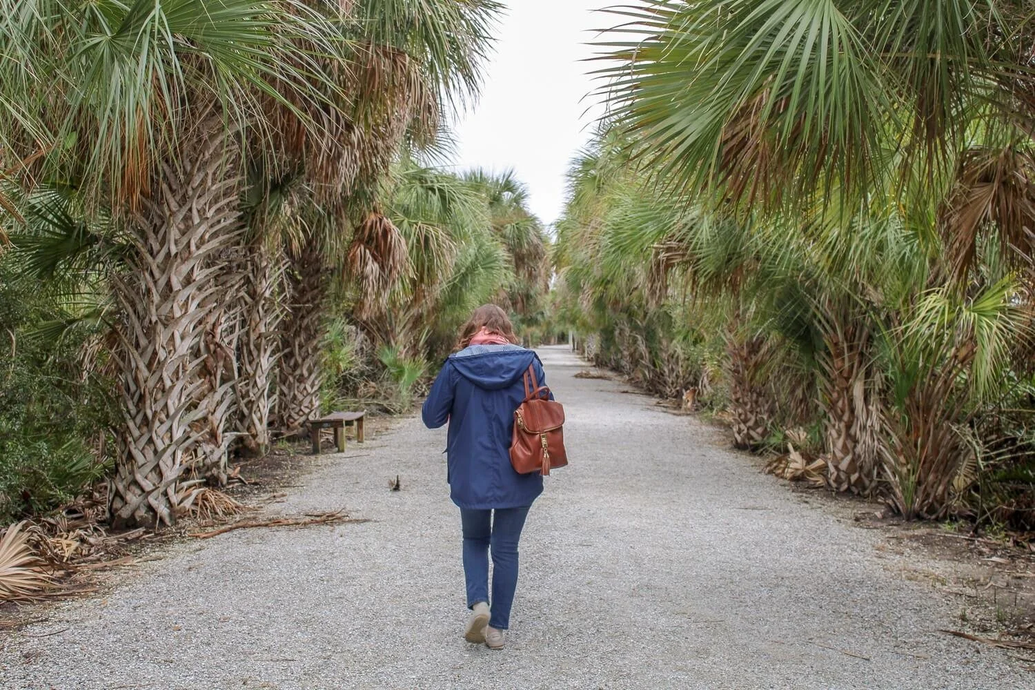 Must-see places in Florida — Blooming Magnolias Blog