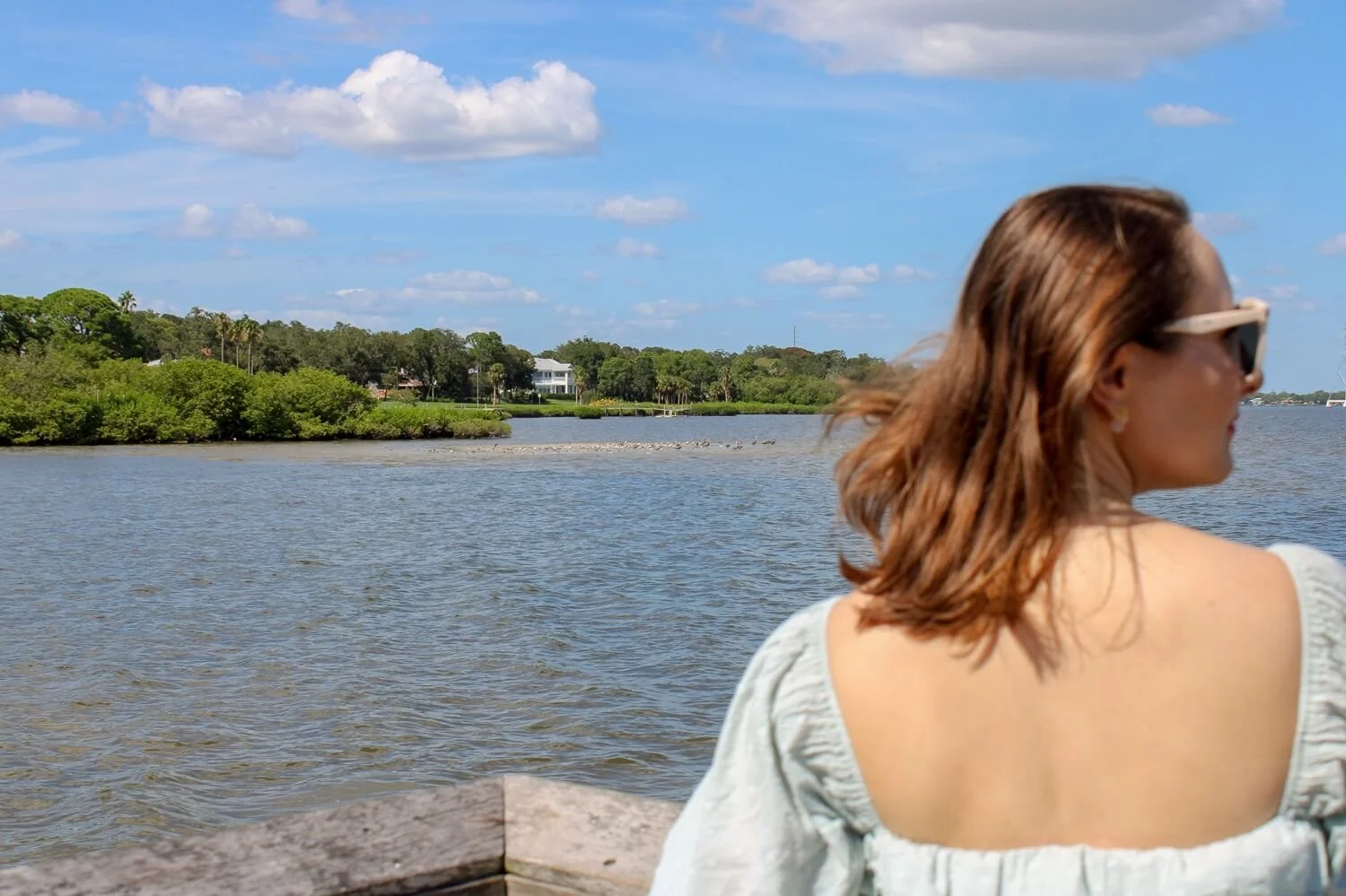 5 things that bring me joy this week — Blooming Magnolias Blog