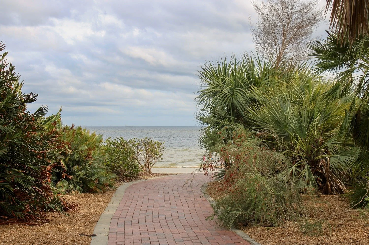 5 things that bring me joy this week — Blooming Magnolias Blog