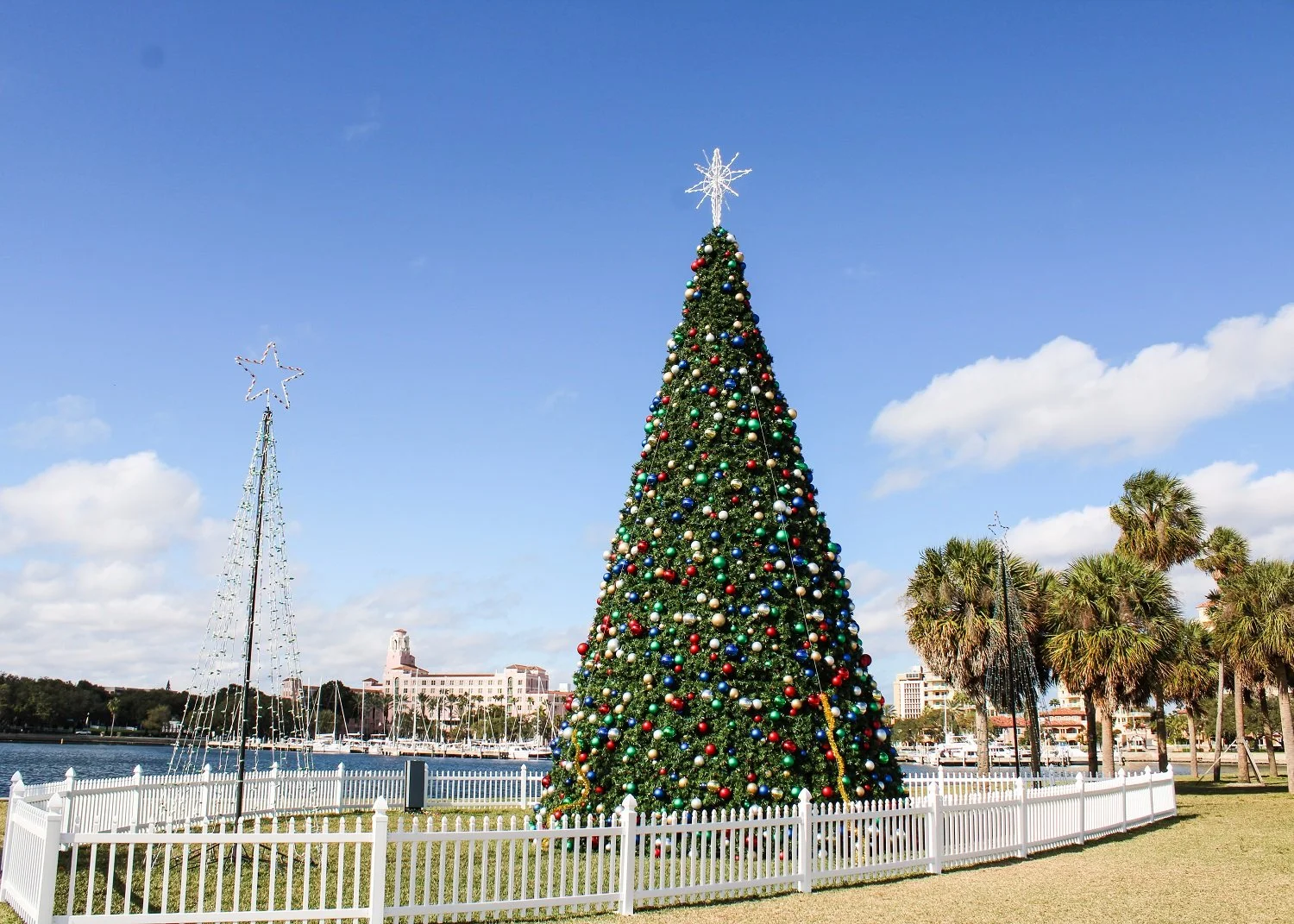 Christmas in Florida — Blooming Magnolias Blog