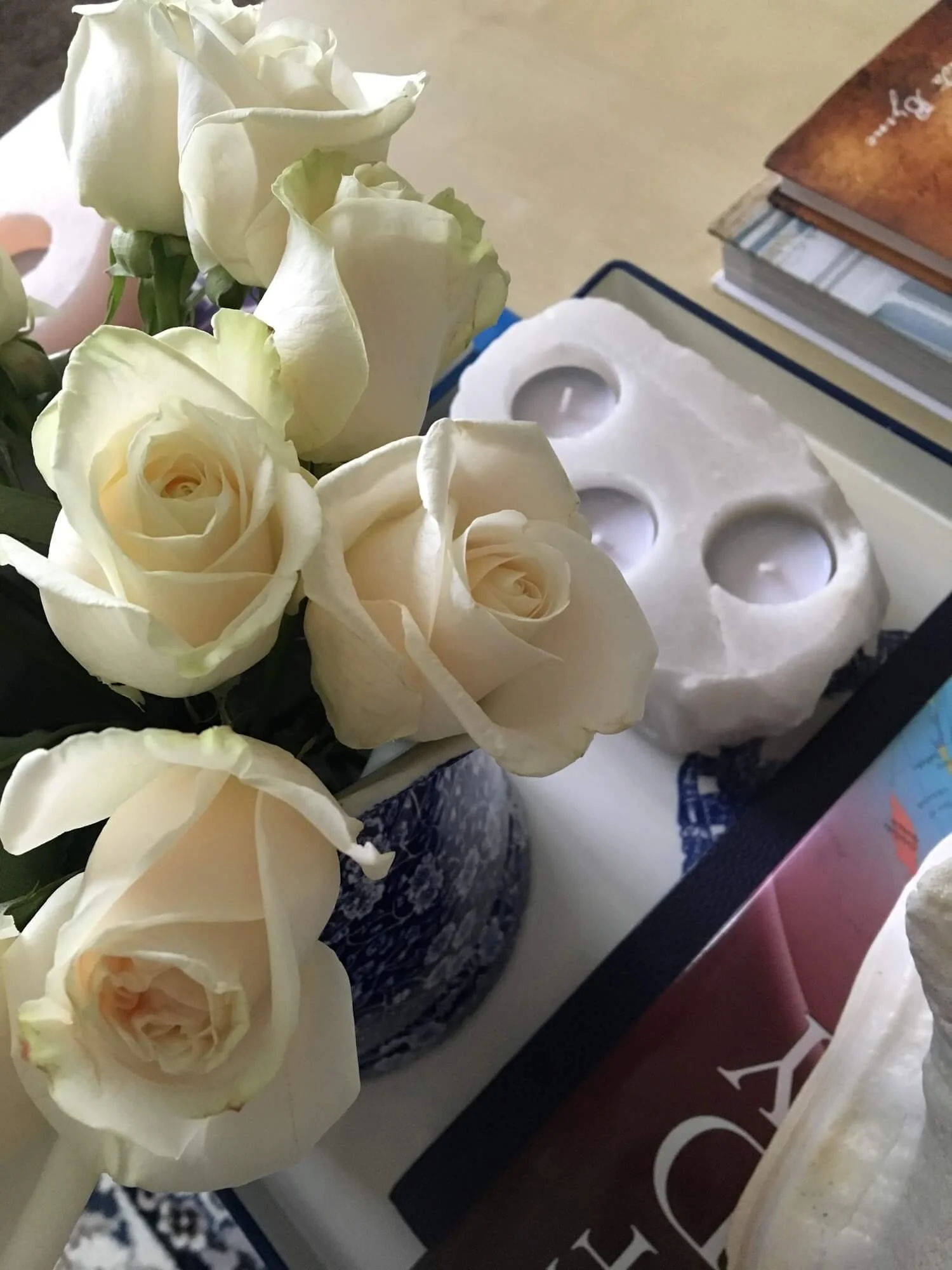 5 things that bring me joy this week — Blooming Magnolias Blog