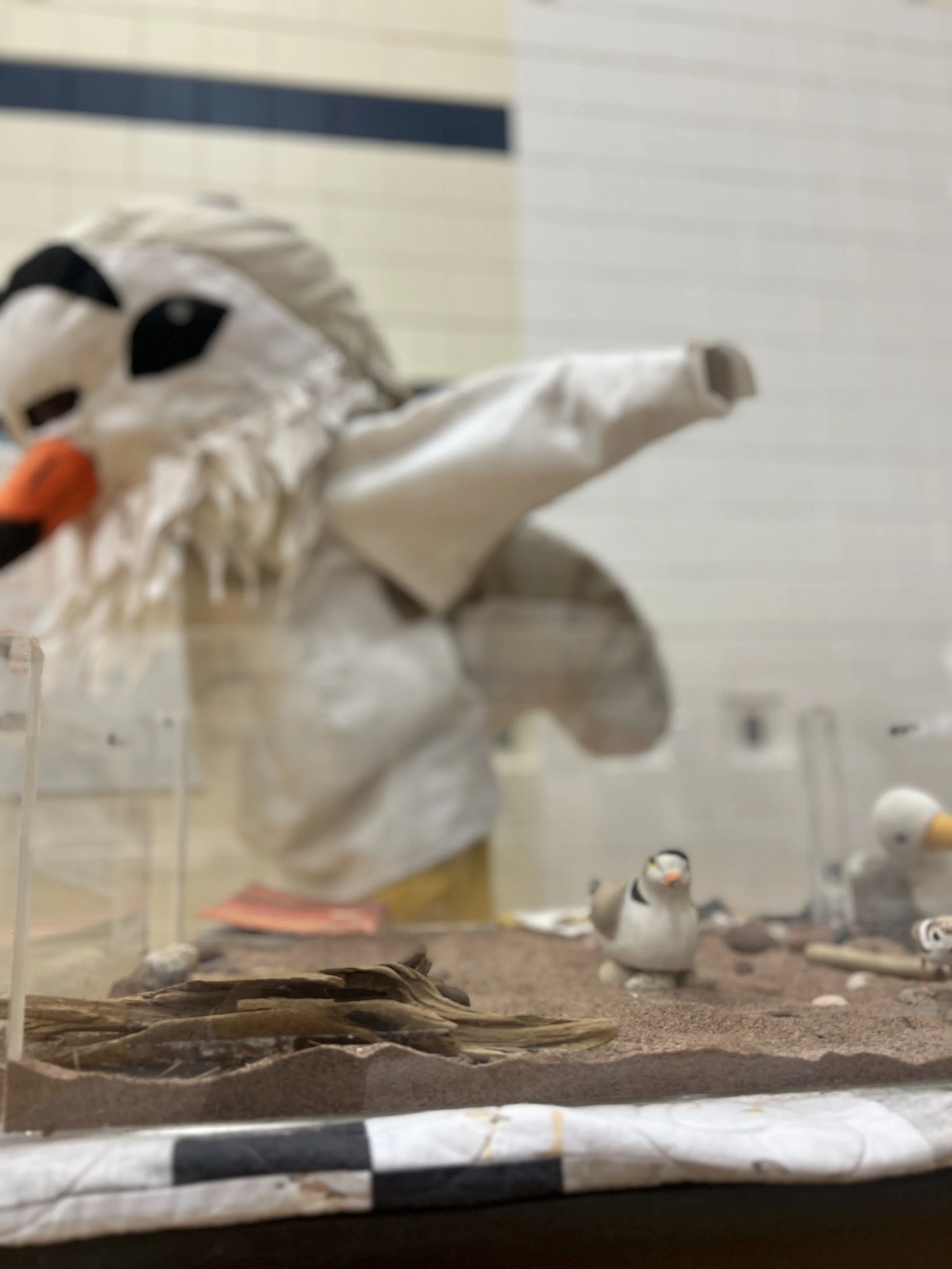 Lester Park Elementary School Science Night - St. Louis River Alliance