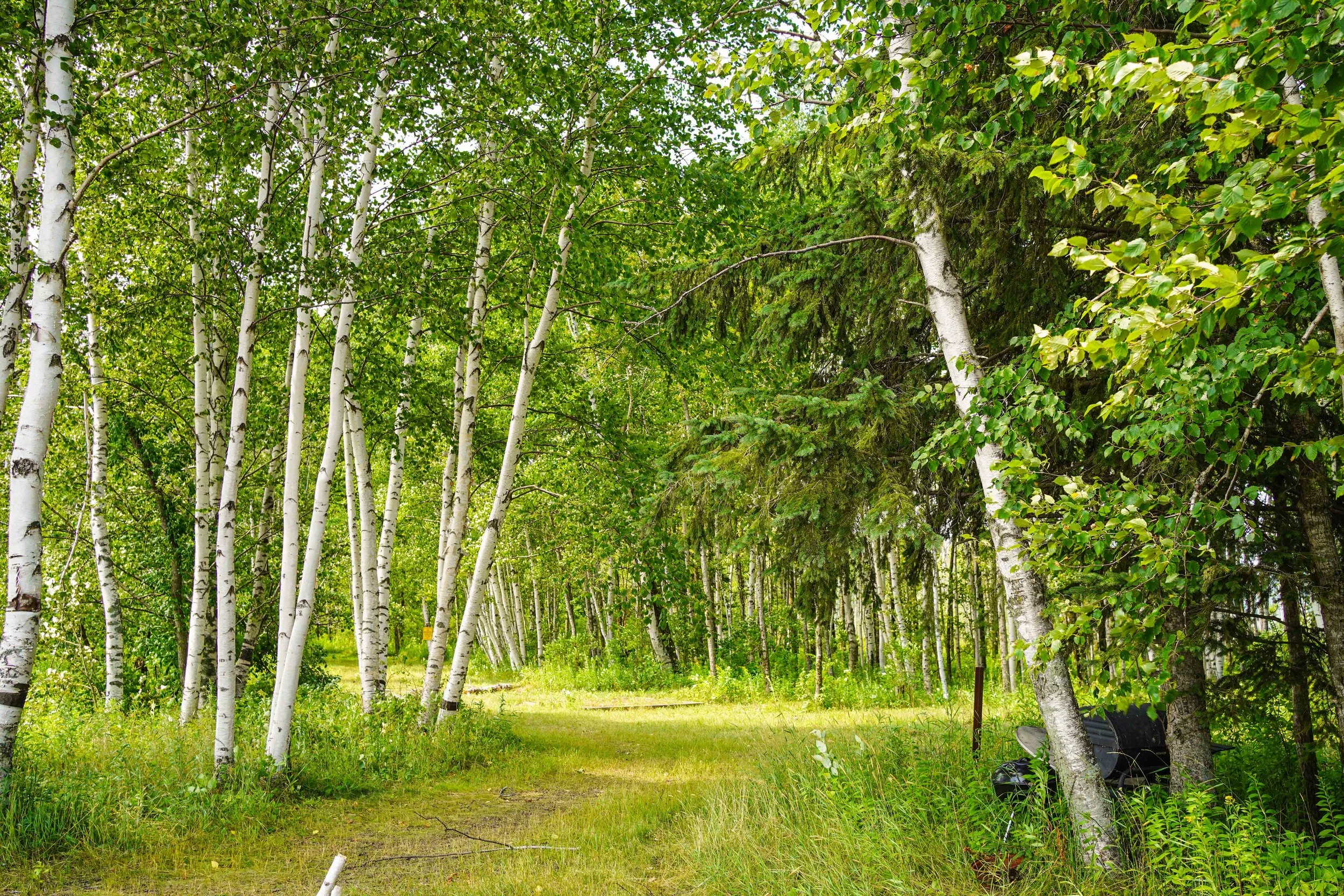 Dwight’s Point River Camping Weekend Paddle Itinerary - St. Louis River ...