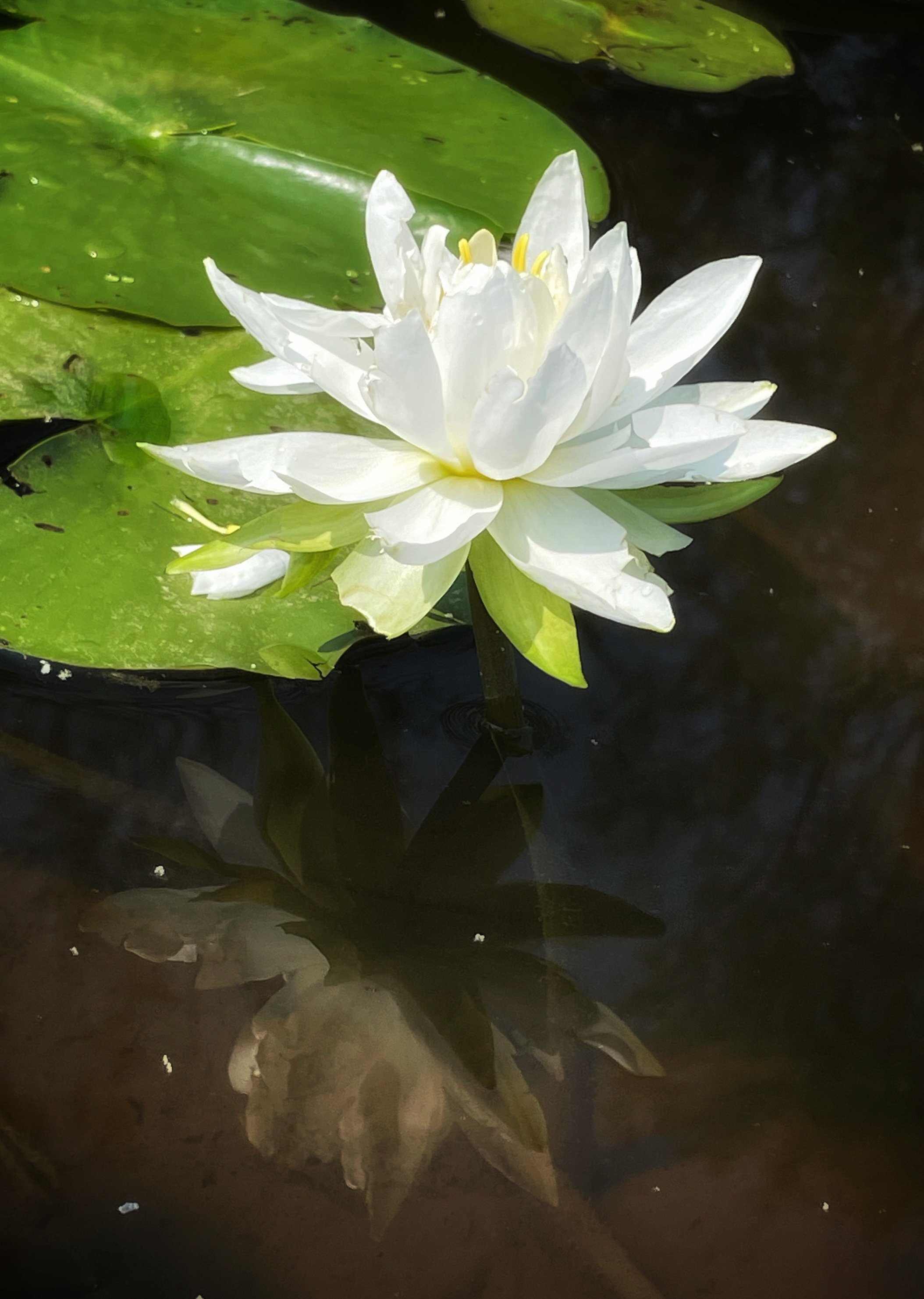 Photo Contest Winners: Seasons of the St. Louis River - St. Louis River ...